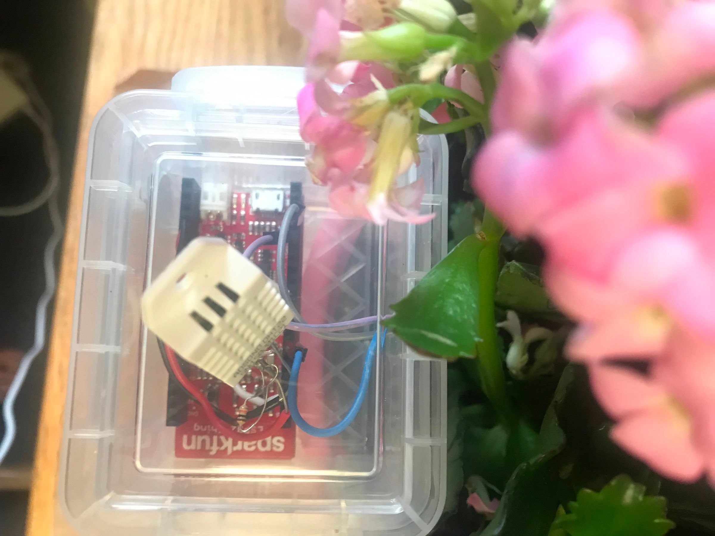 Plant Monitor Using ESP32 Thing and Blynk : 5 Steps - Instructables