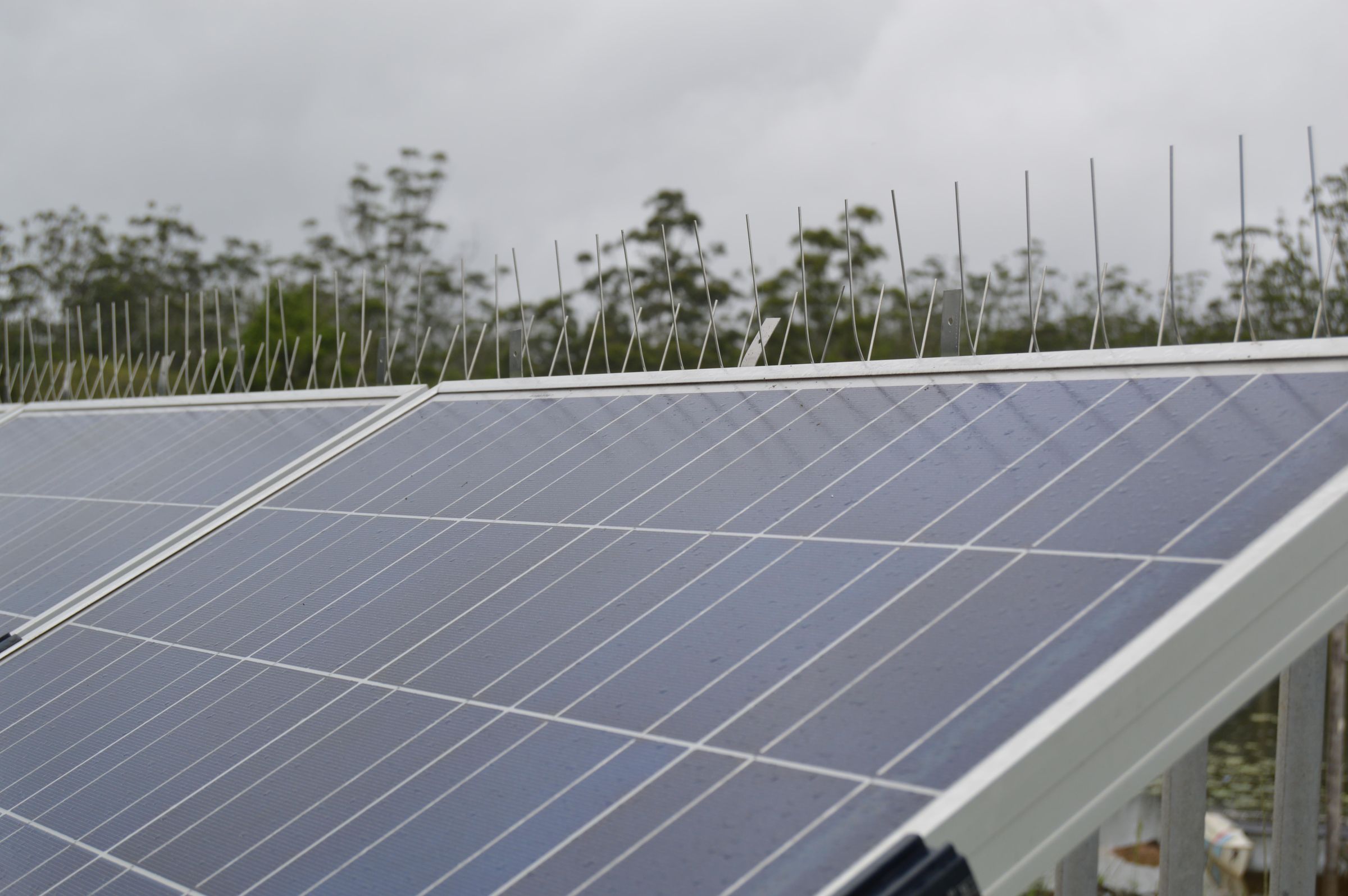 Building a Solar System for Pumping, Agricultural Irrigation and Stock ...