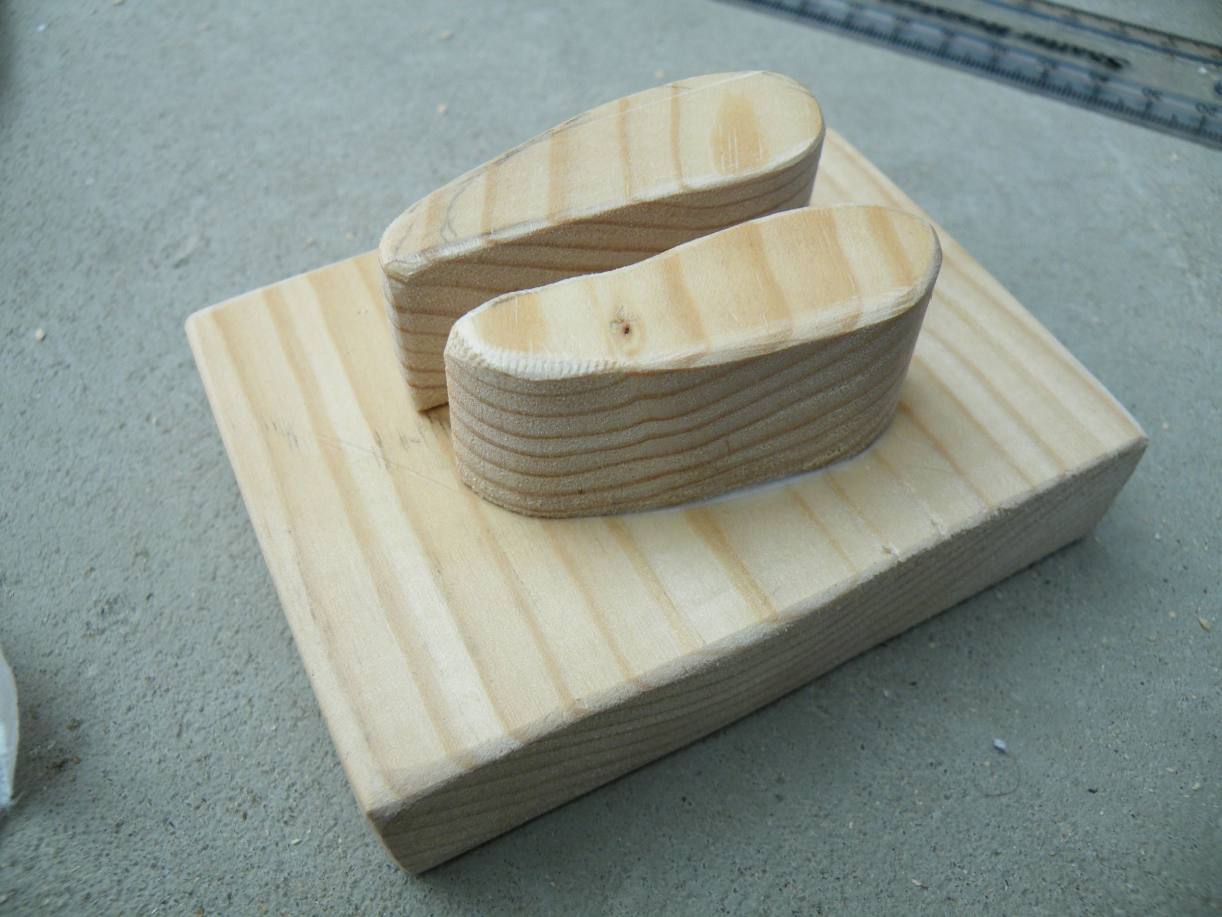 Animal Tracks for Plaster Casting. : 5 Steps (with Pictures ...