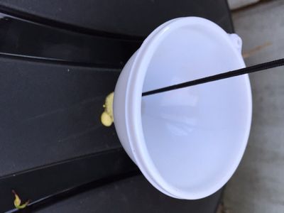 $20 Rainwater Catchment System--No Gutters Required! : 7 Steps ...