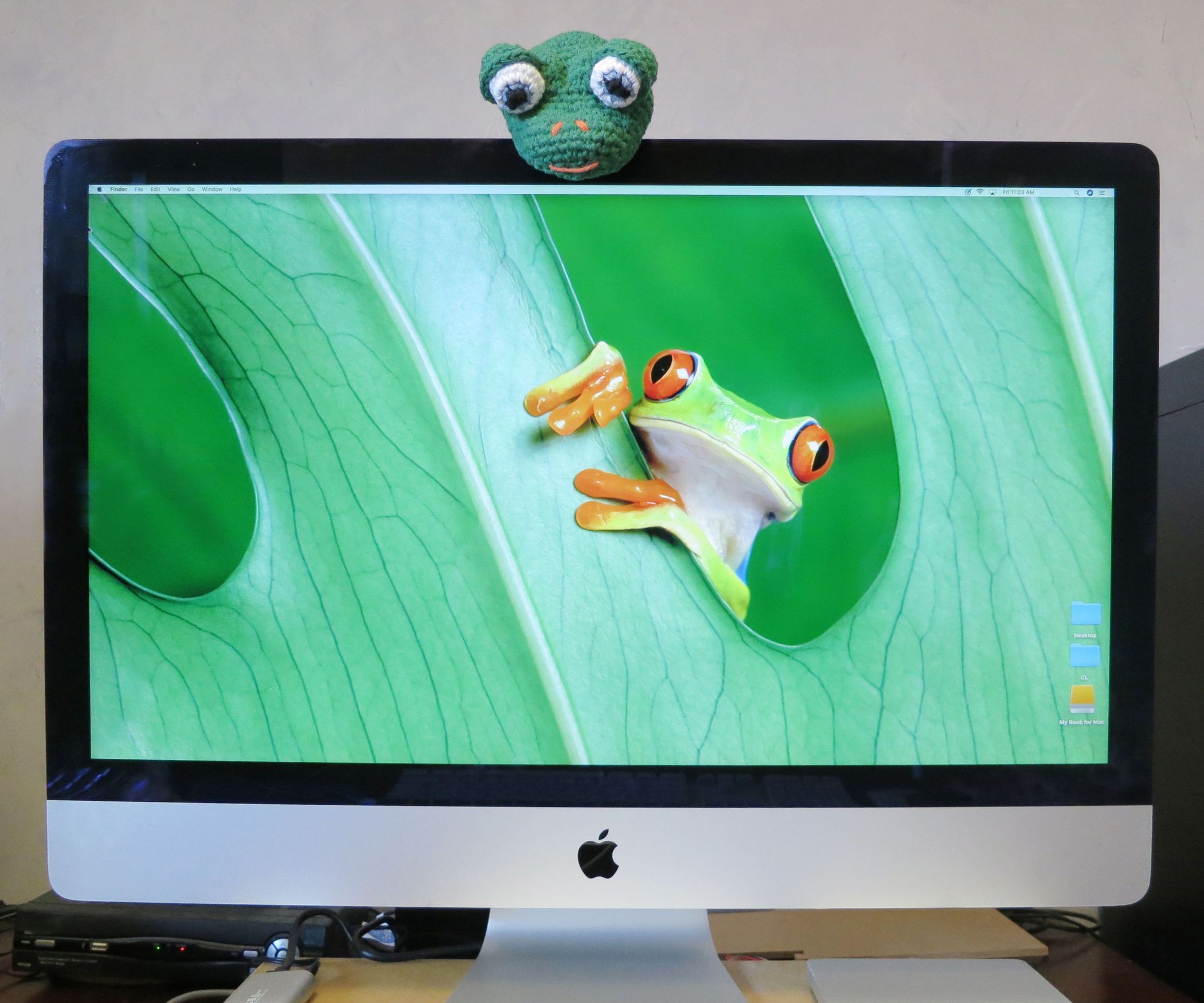 Turtle Peeper Webcam Cosy: Protect Your Loved Ones! : 16 Steps (with ...