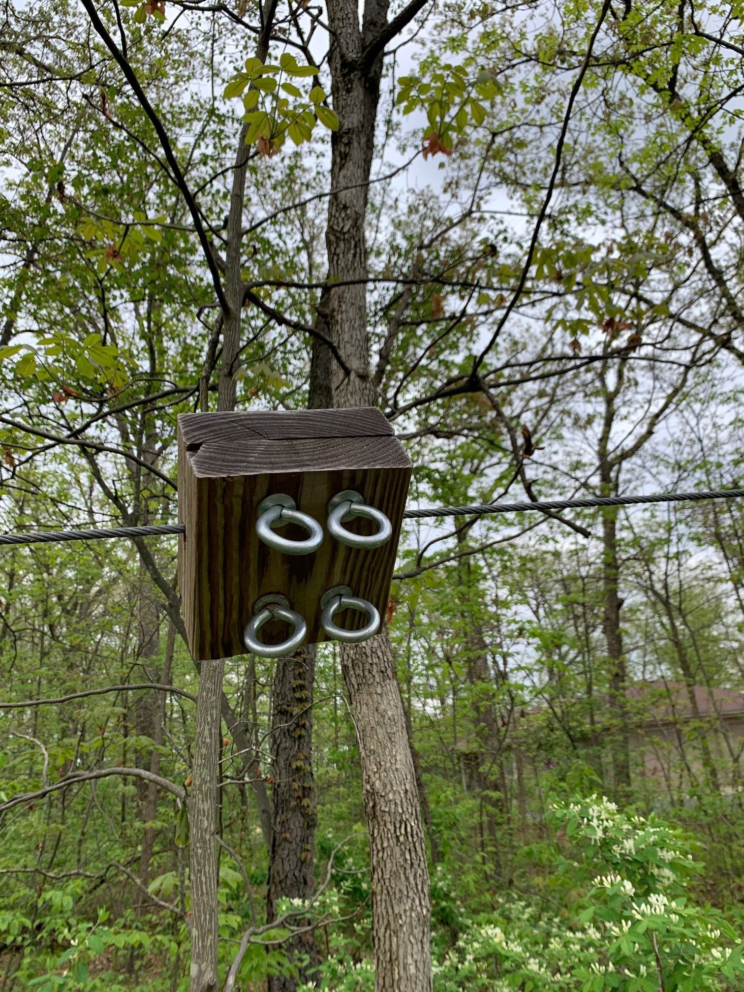 Extreme Backyard Zipline : 6 Steps (with Pictures) - Instructables