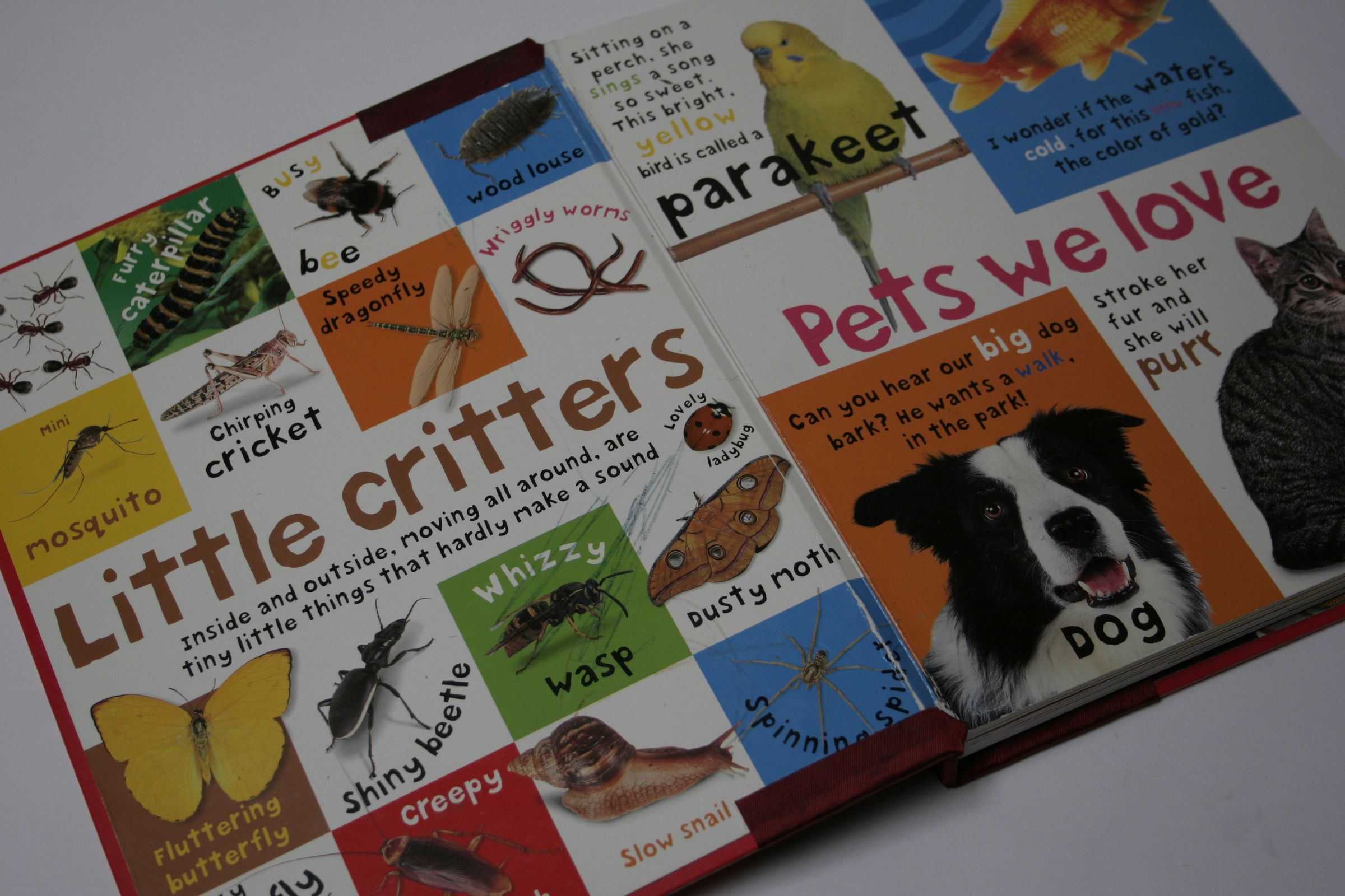 Simple Book Repair : 5 Steps (with Pictures) - Instructables