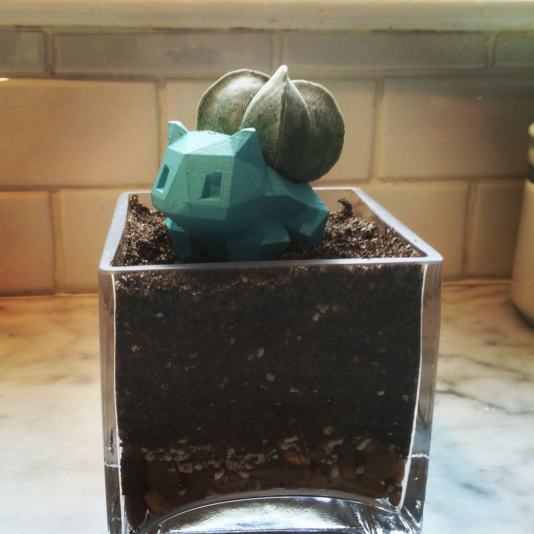 3D Printed Bulbasaur Planter : 4 Steps (with Pictures) - Instructables