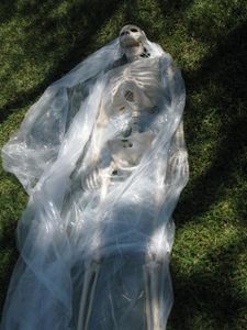 How to Corpse a Skeleton (The Quick and Dirty Way That DOES NOT Involve ...