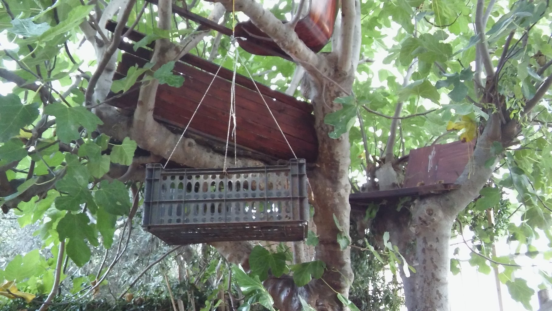 Tree house Elevator 3 Steps with Pictures Instructables tree-house-elevator-3-steps-with-pictures-instructables