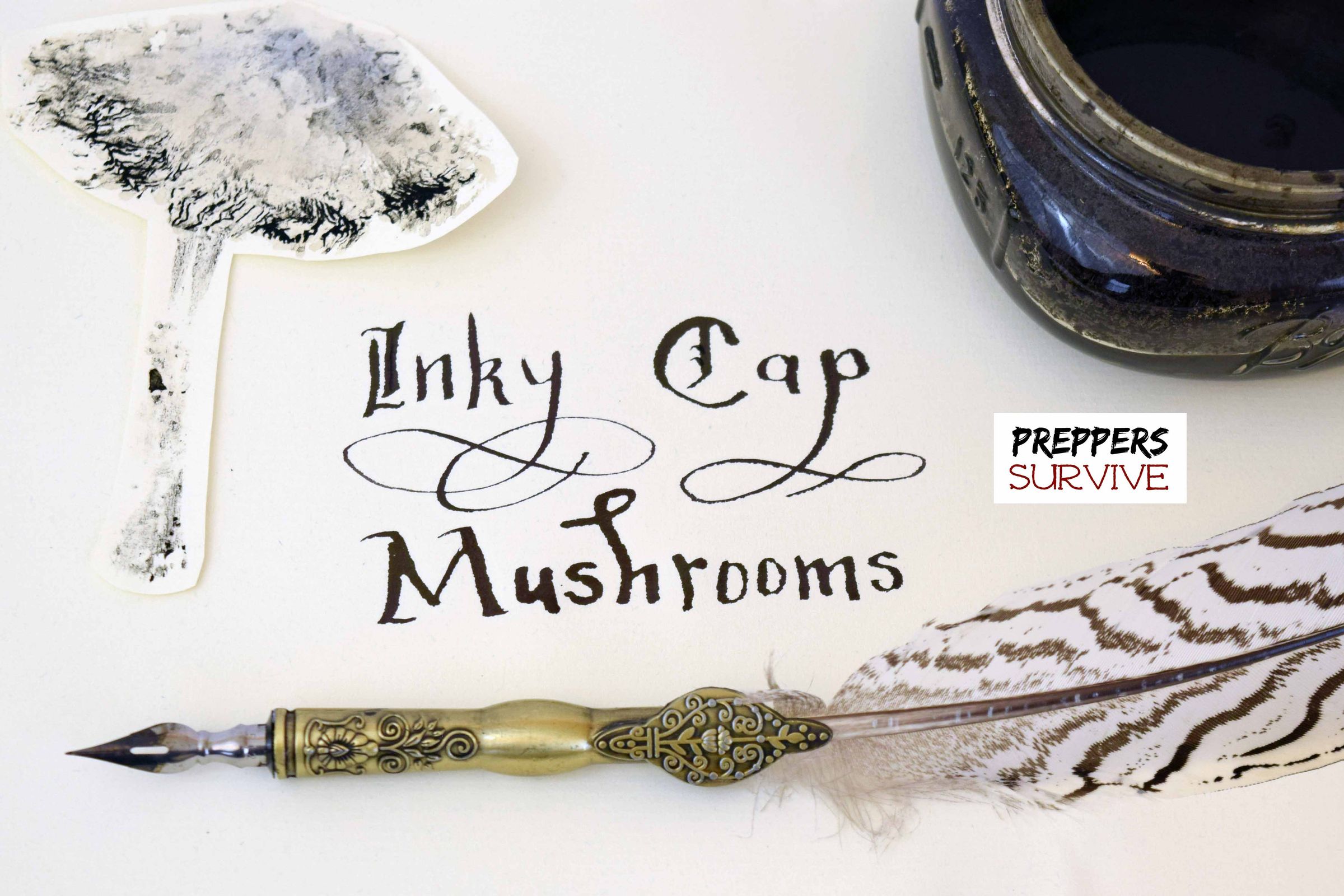 Making Ink From Mushrooms : 5 Steps (with Pictures) - Instructables
