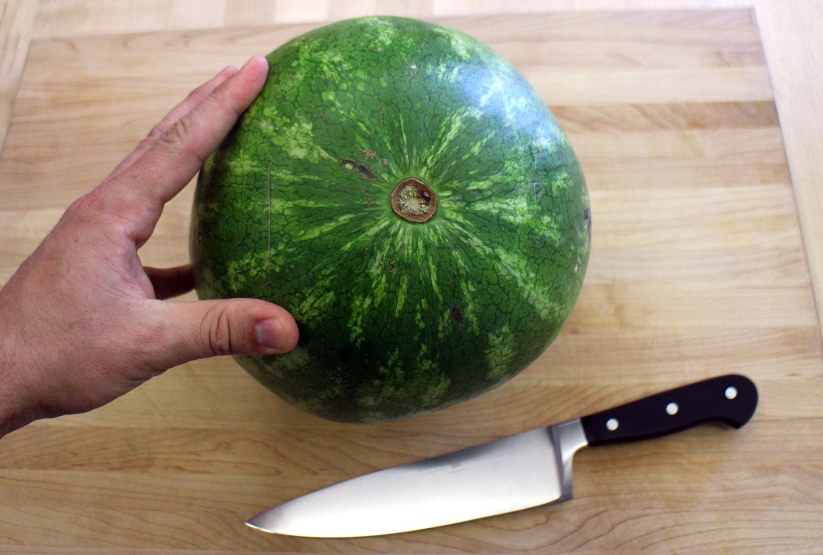 Watermelon Shark : 13 Steps (with Pictures) - Instructables