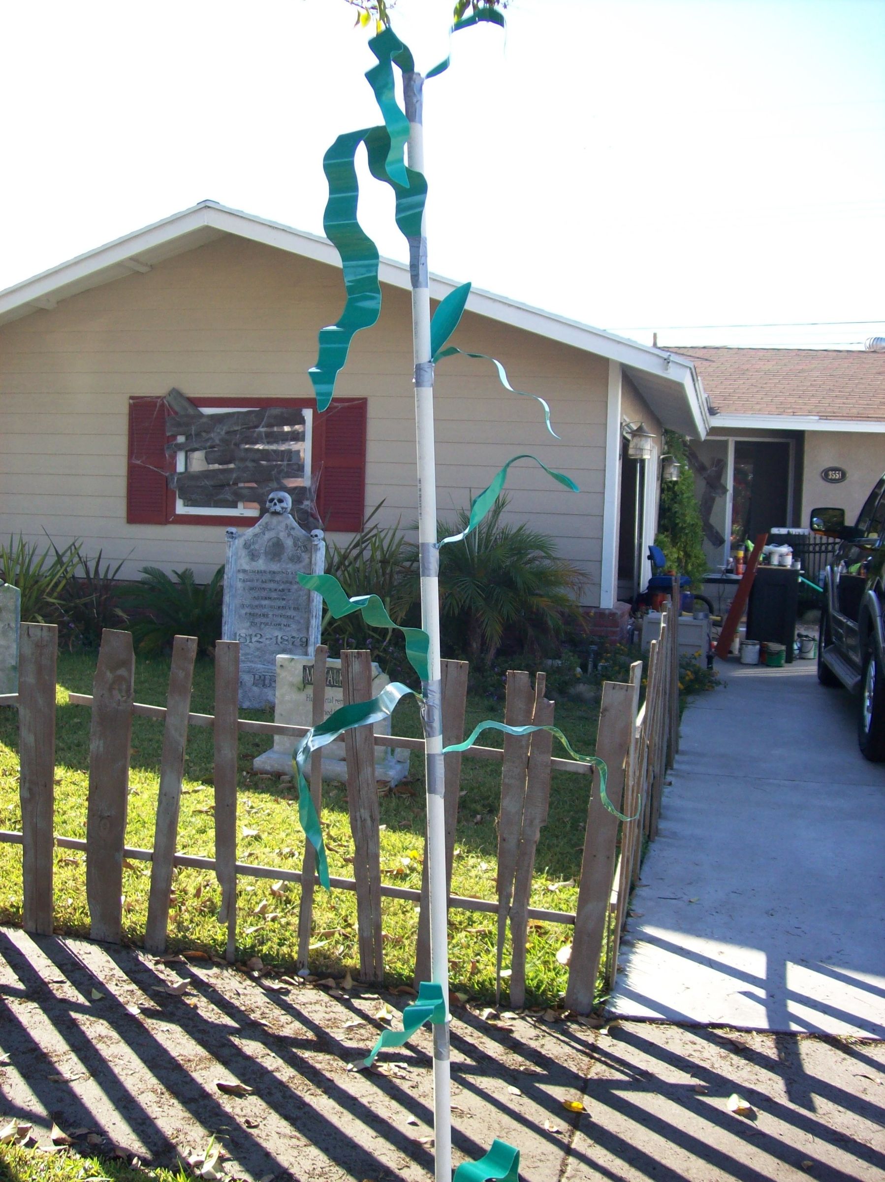 Candy Corn : 9 Steps (with Pictures) - Instructables