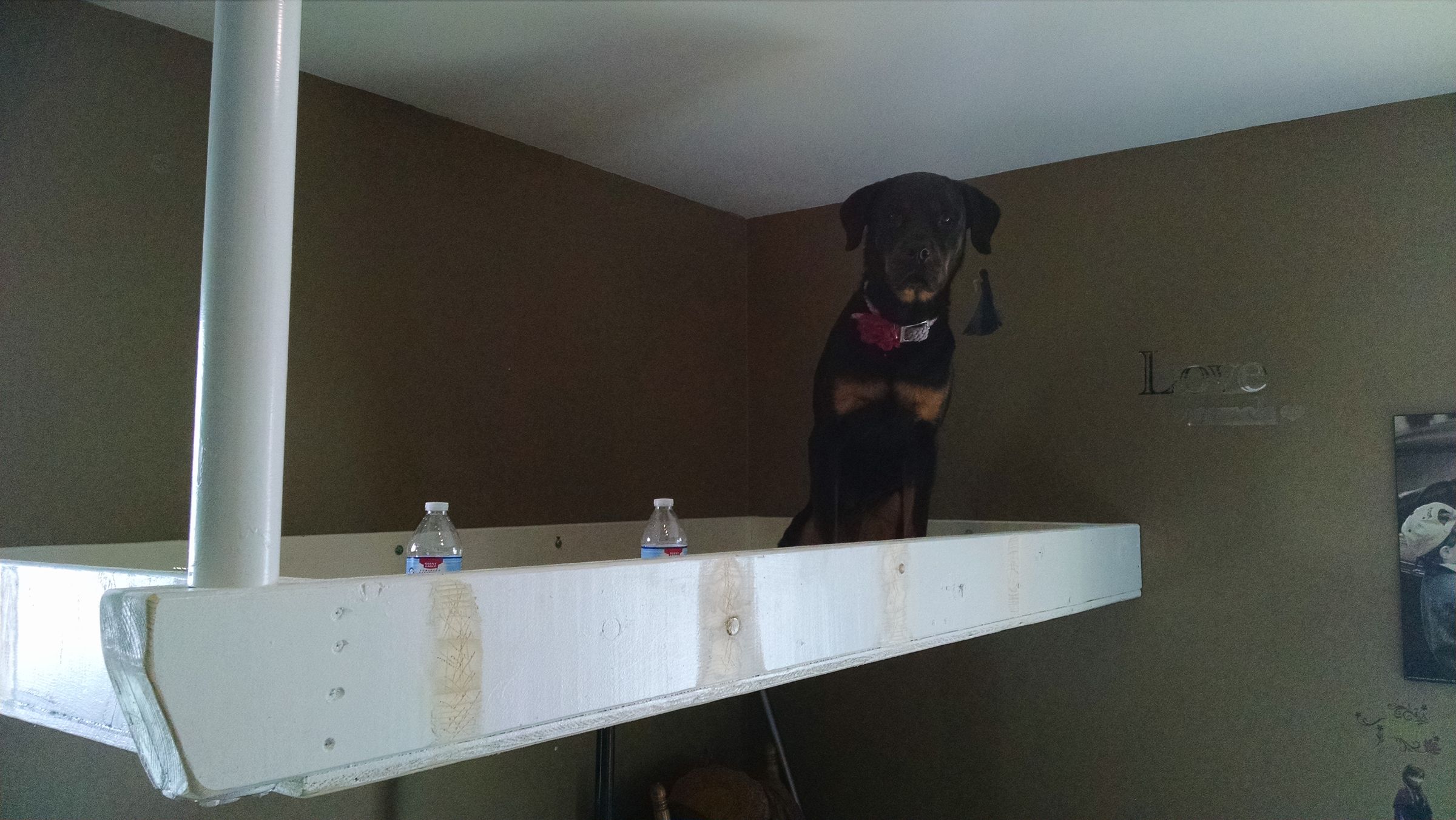 Floating Loft Bed : 11 Steps (with Pictures) - Instructables