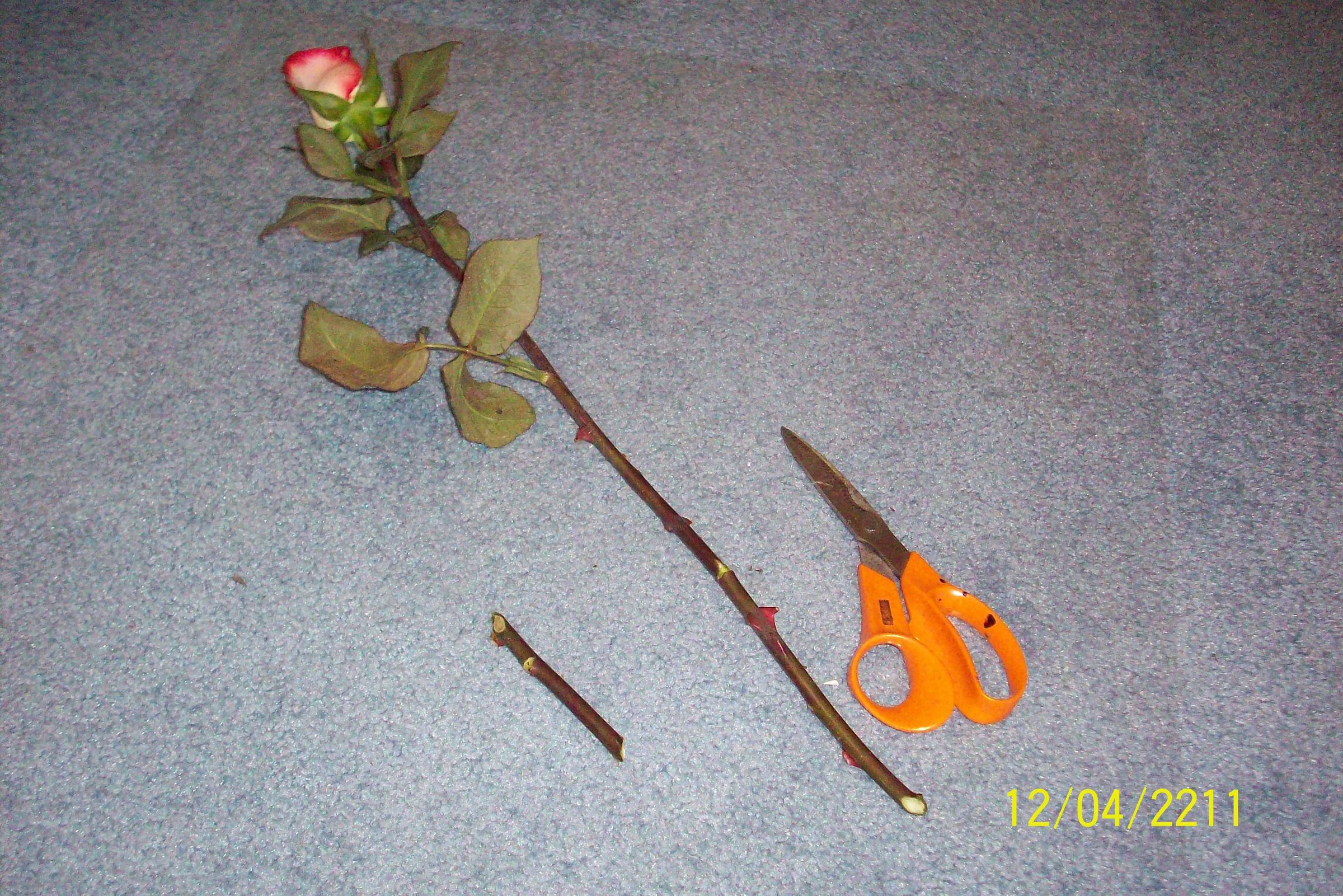 How to Make a Flower Wrap the Right Way. : 6 Steps - Instructables