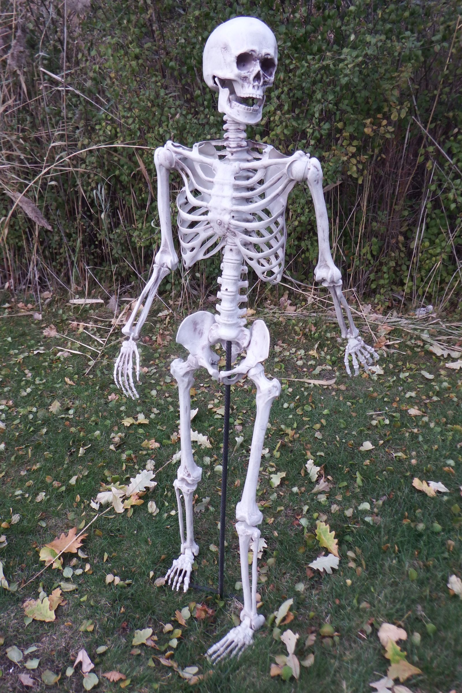 Hack and Repair Plastic Halloween Skeletons : 9 Steps - Instructables