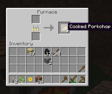 How to Survive Your First Day in Minecraft : 10 Steps (with Pictures ...