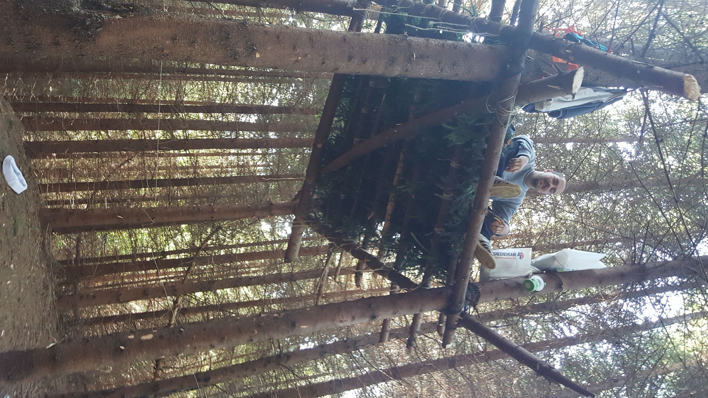 Tree Platform : 5 Steps (with Pictures) - Instructables