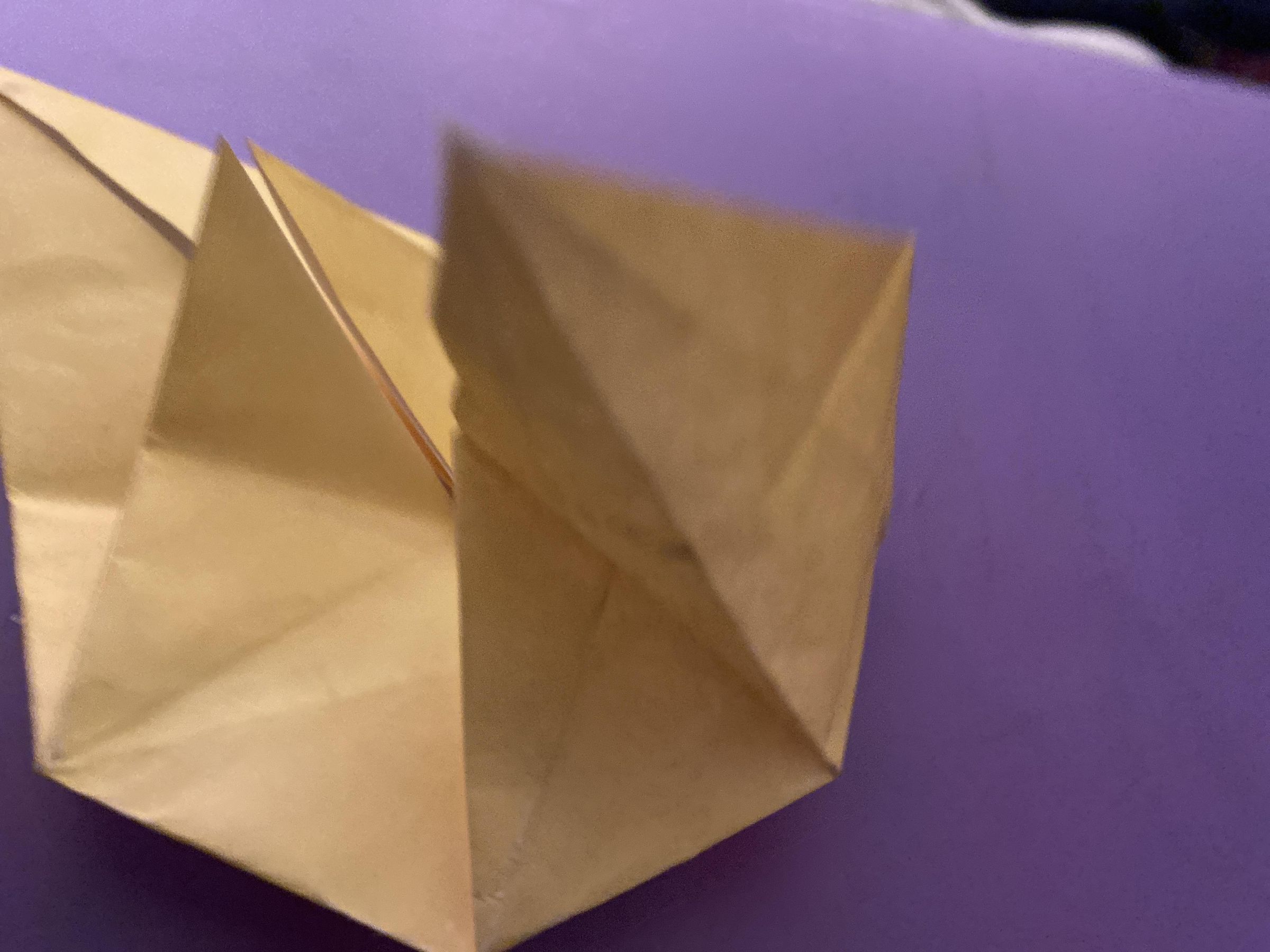 Origami Rat : 27 Steps - Instructables