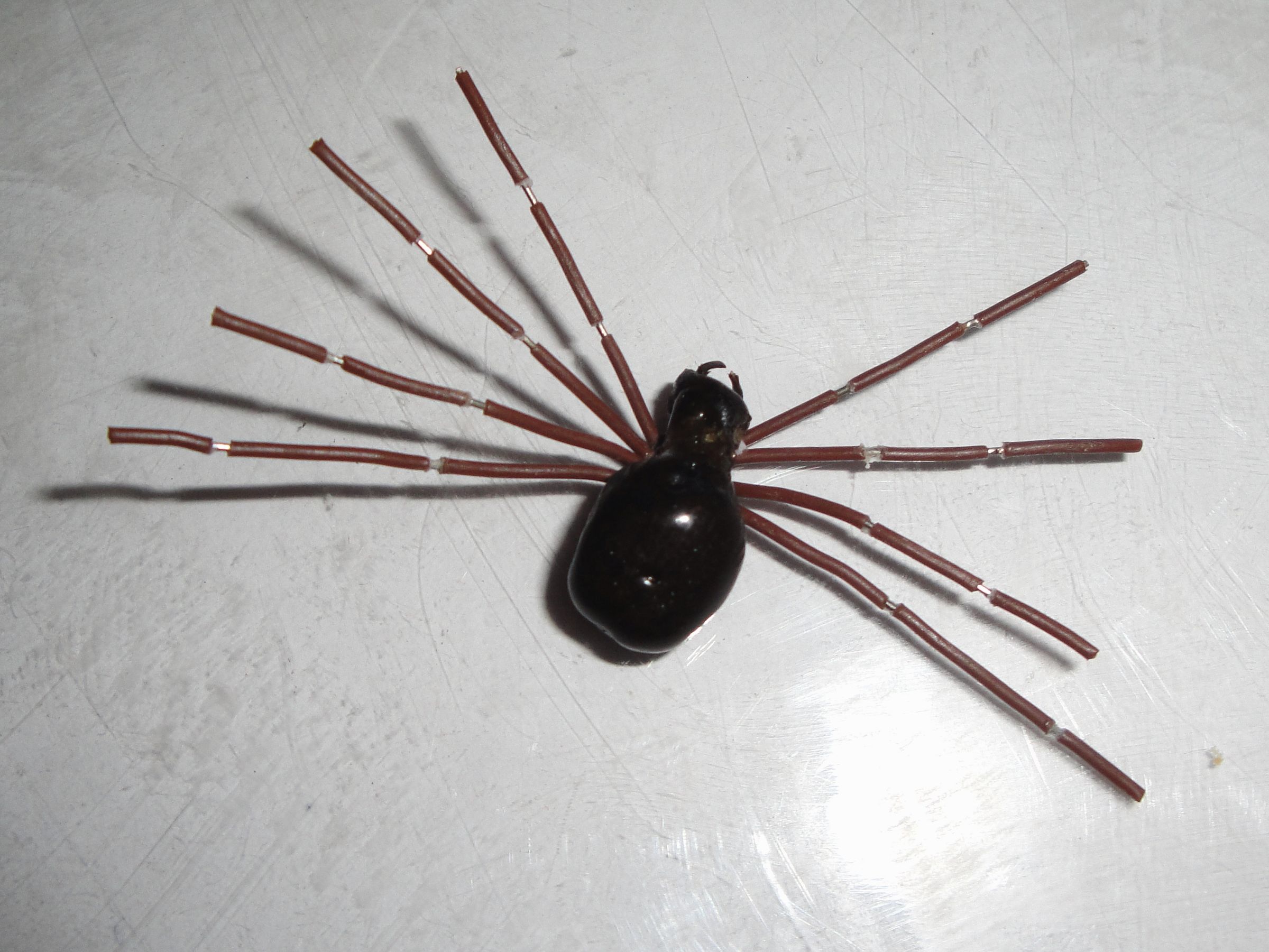 Realistic Spider (Life-Size Prop) : 7 Steps (with Pictures) - Instructables