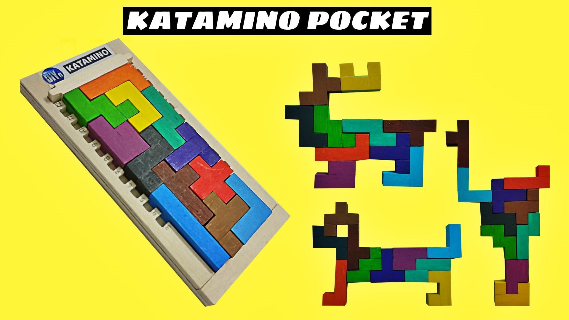 DIY KATAMINO POCKET- PUZZLE BOARD GAME From Popsicle Sticks : 8 Steps ...