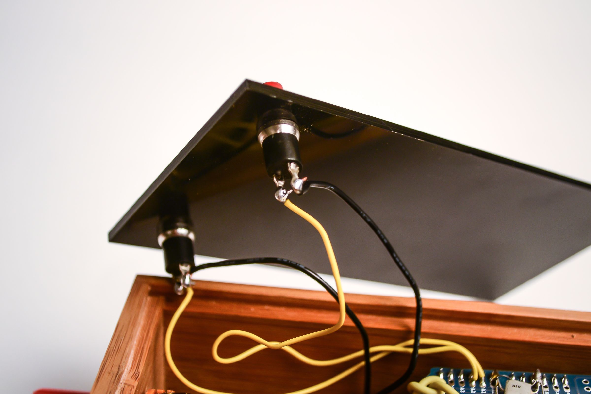 Singing Plant. Make Your Plant Sing With Arduino, Touche and a ...