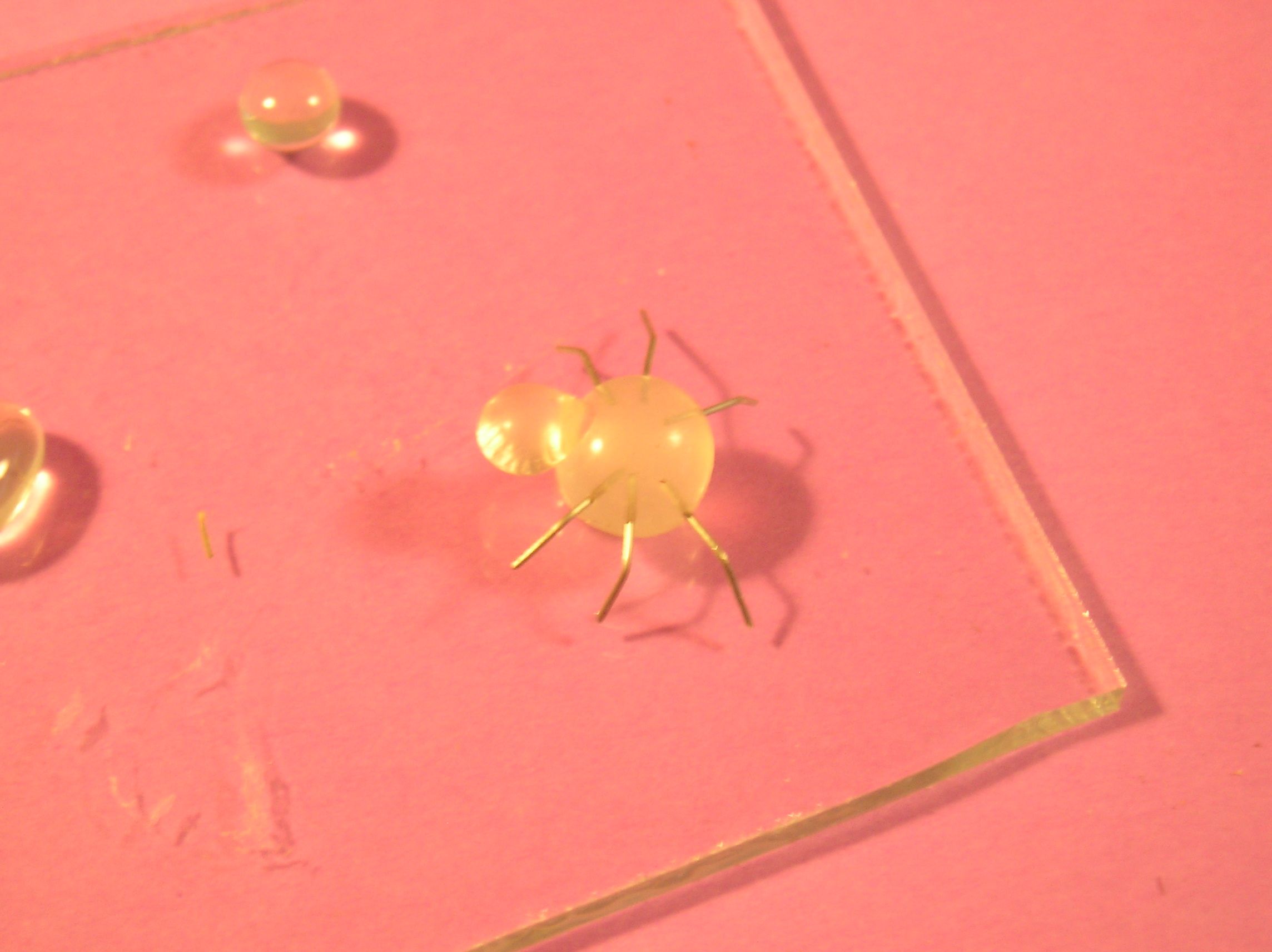 How to Make Glue Bugs : 9 Steps (with Pictures) - Instructables