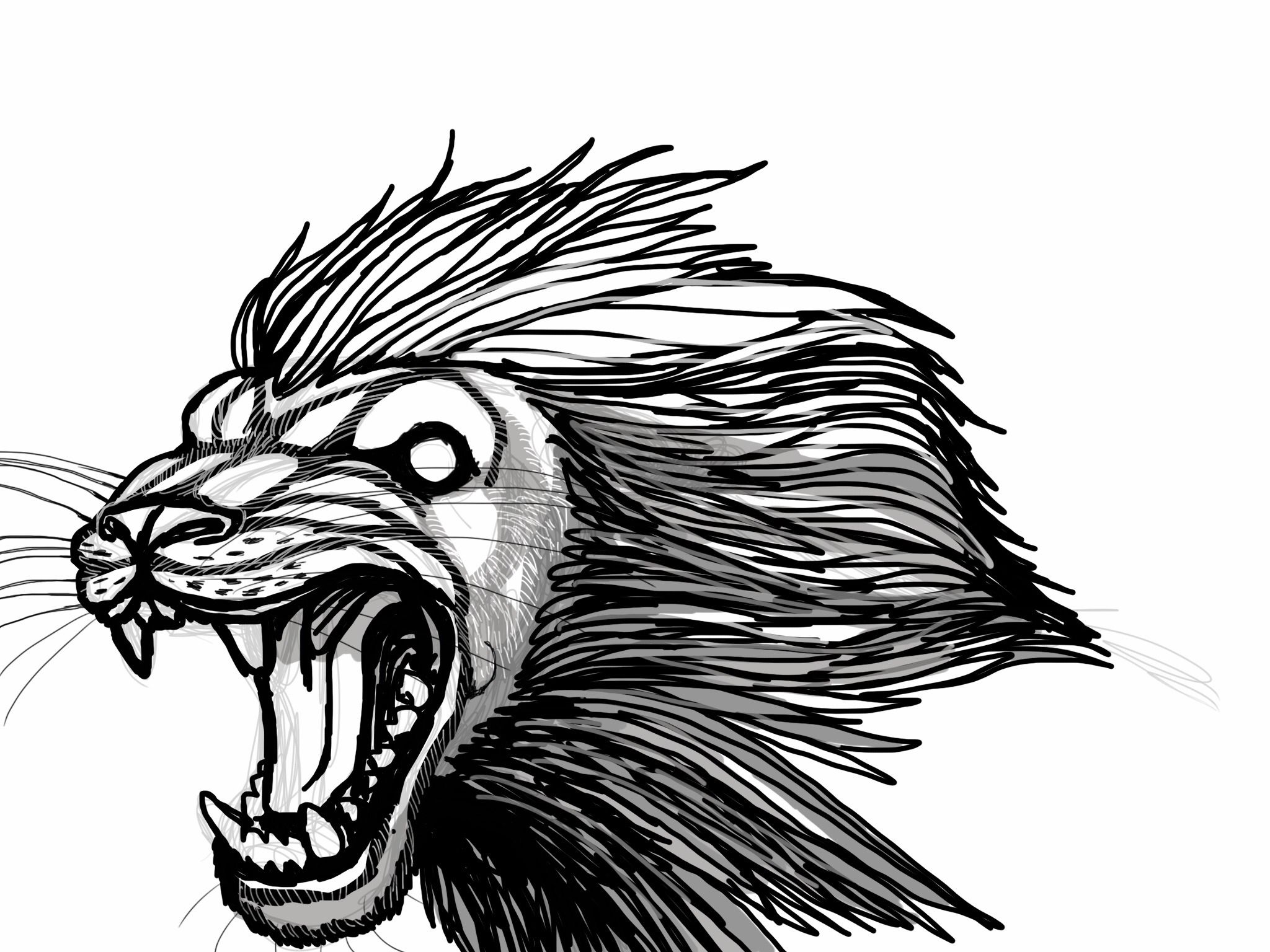 Lion Teeth Drawing
