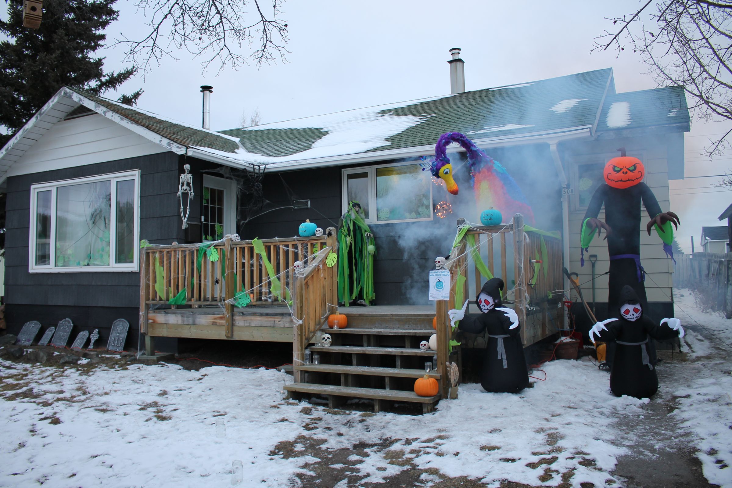 Kevin From Up : 10 Steps (with Pictures) - Instructables