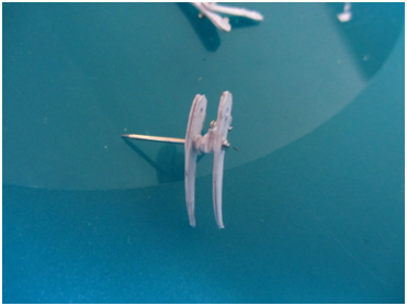 Micro Paper Robots (cyborg Crab) : 8 Steps (with Pictures) - Instructables