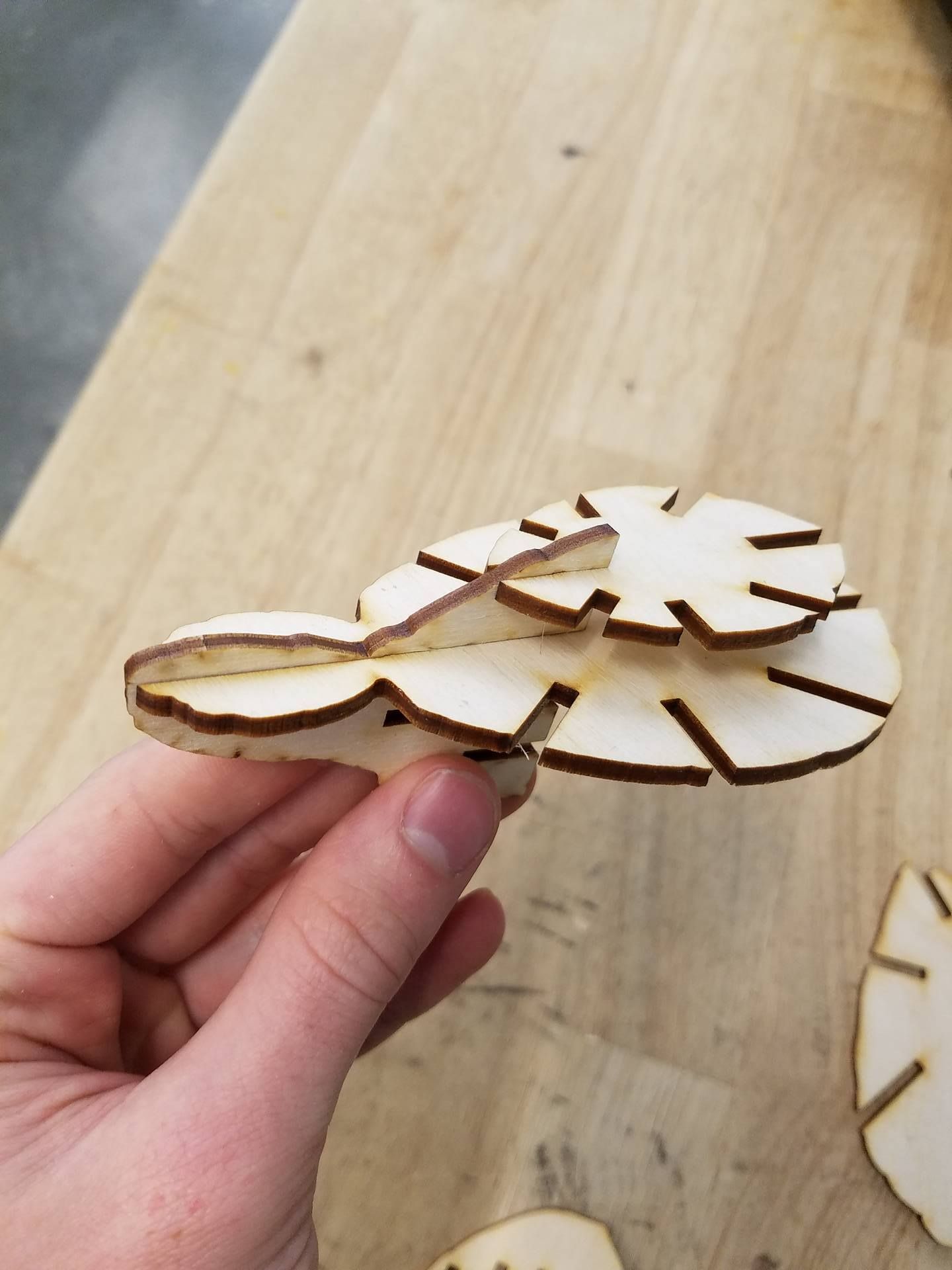 Laser Cut Turtle : 3 Steps (with Pictures) - Instructables