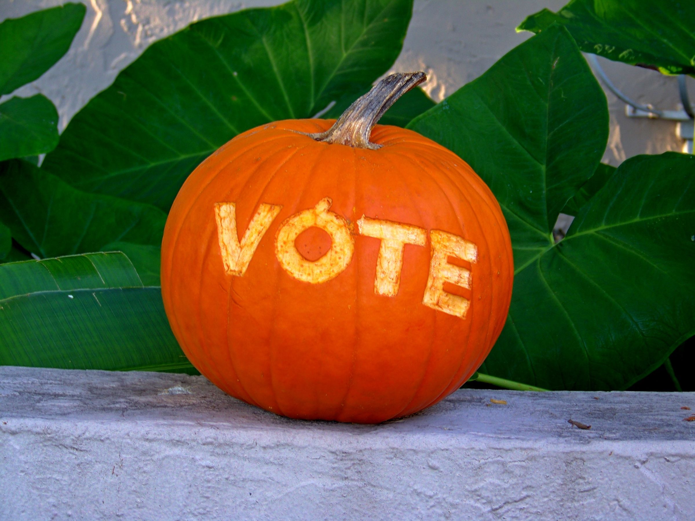 The Barack O Lantern- Pumpkin Powered Political Statement (With LEDs ...