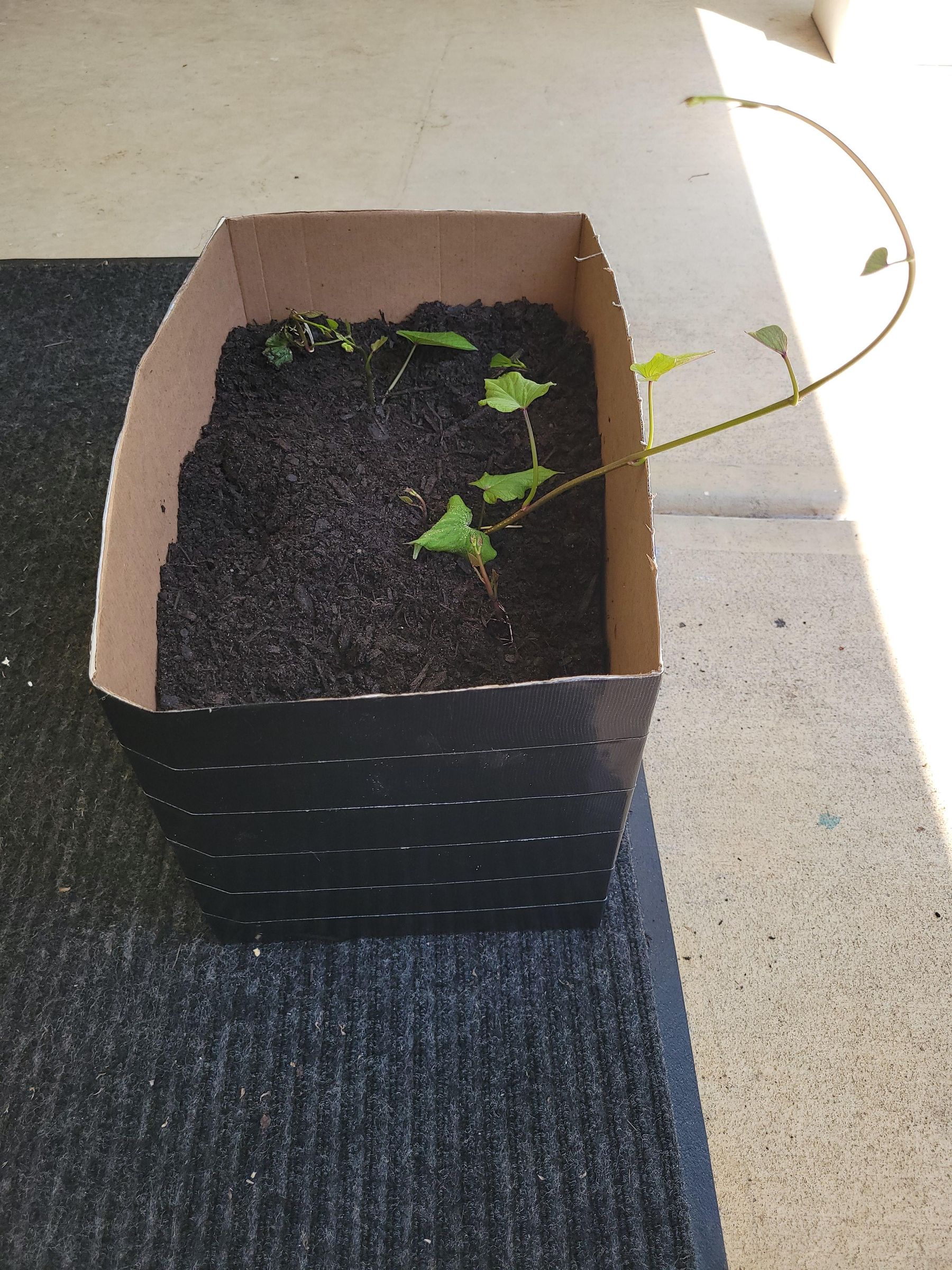 Upcycled Duct Tape Cardboard Planter : 3 Steps - Instructables