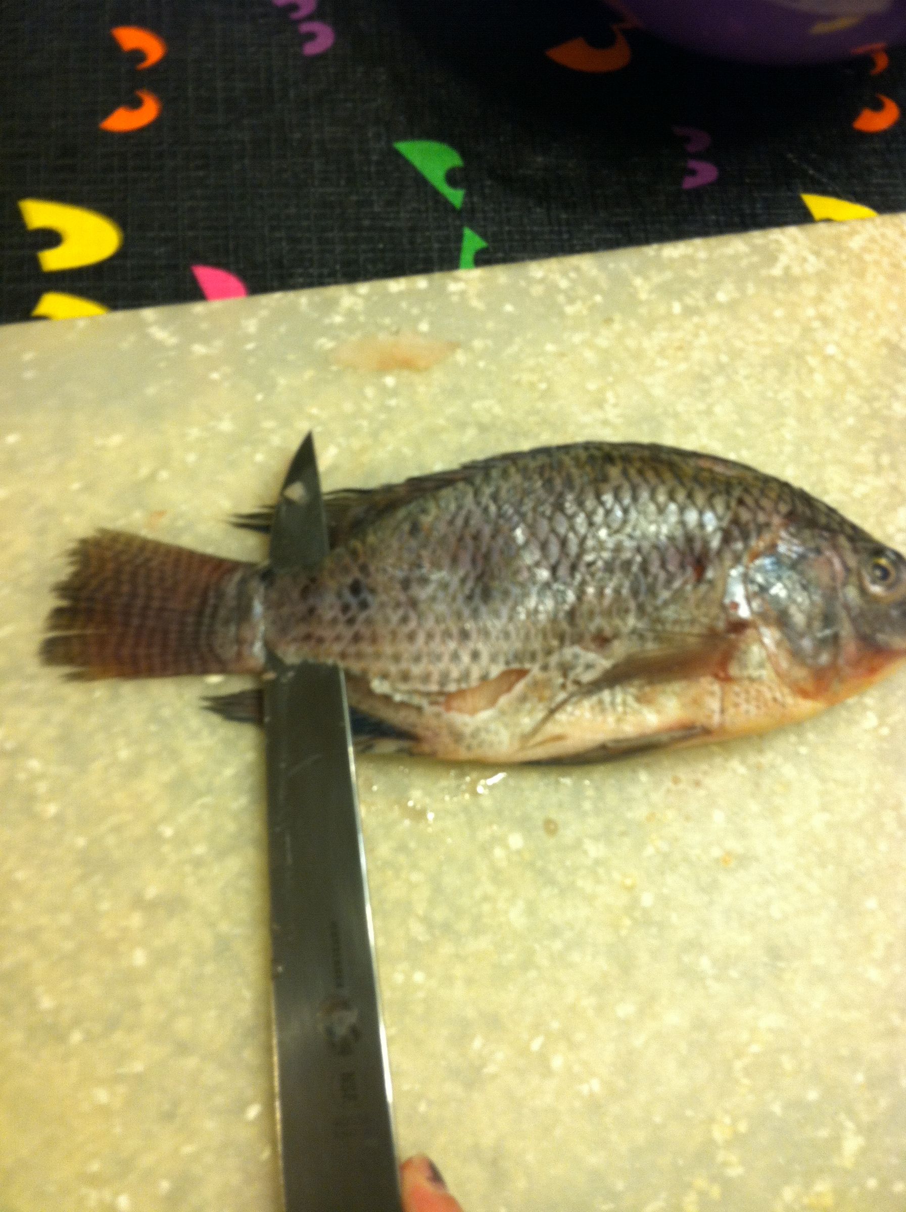 How to Clean a Fish : 6 Steps (with Pictures) - Instructables