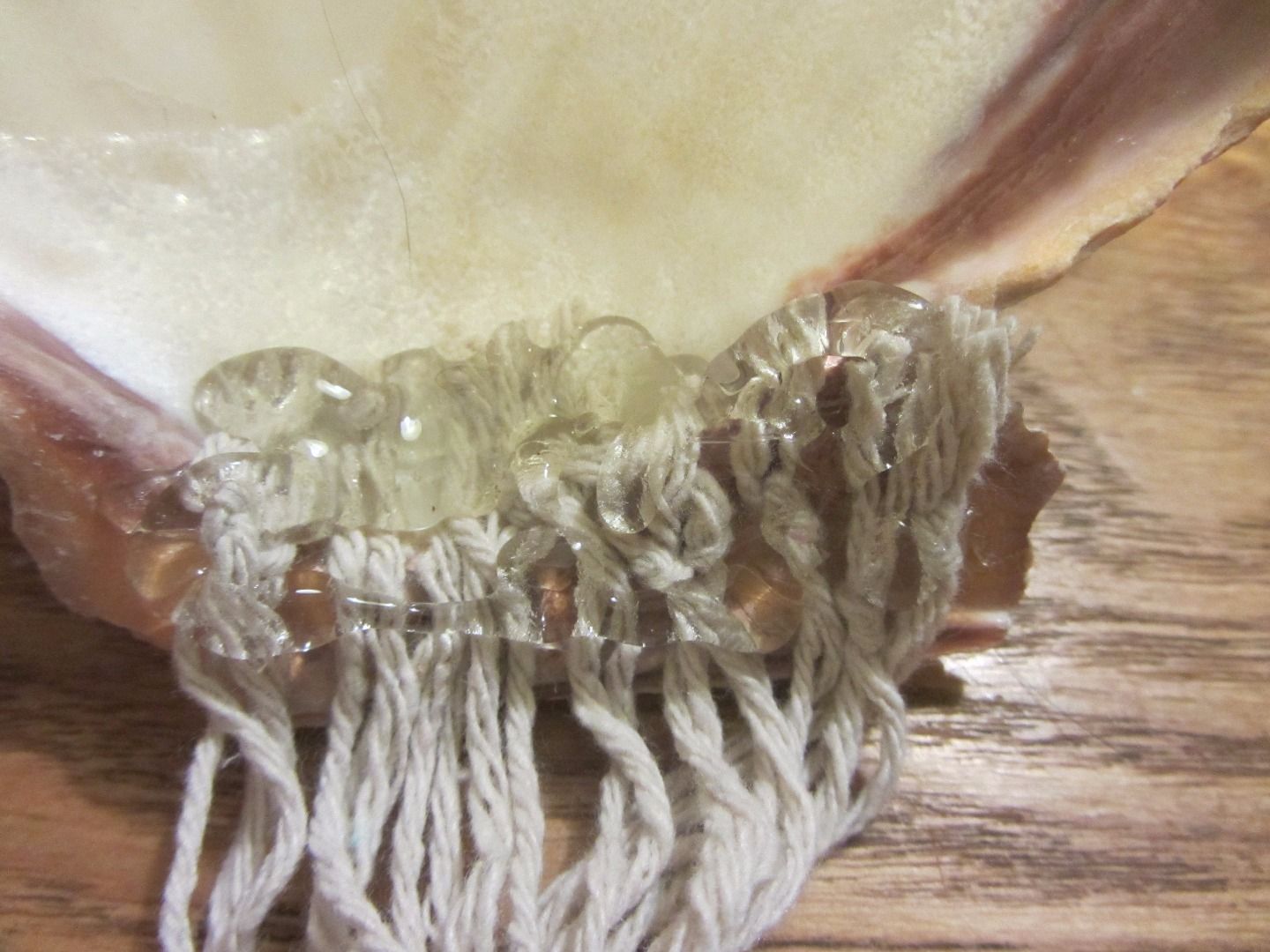 DIY Mermaid Shell Bra : 5 Steps (with Pictures) - Instructables