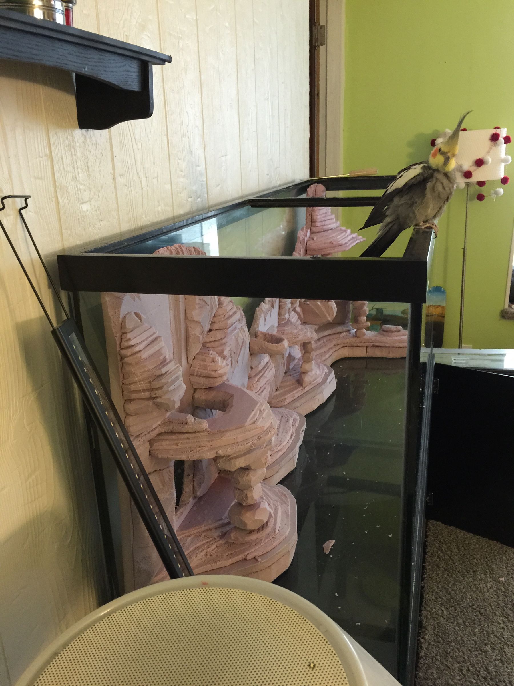 Make a 3D Aquarium Background : 14 Steps (with Pictures) - Instructables