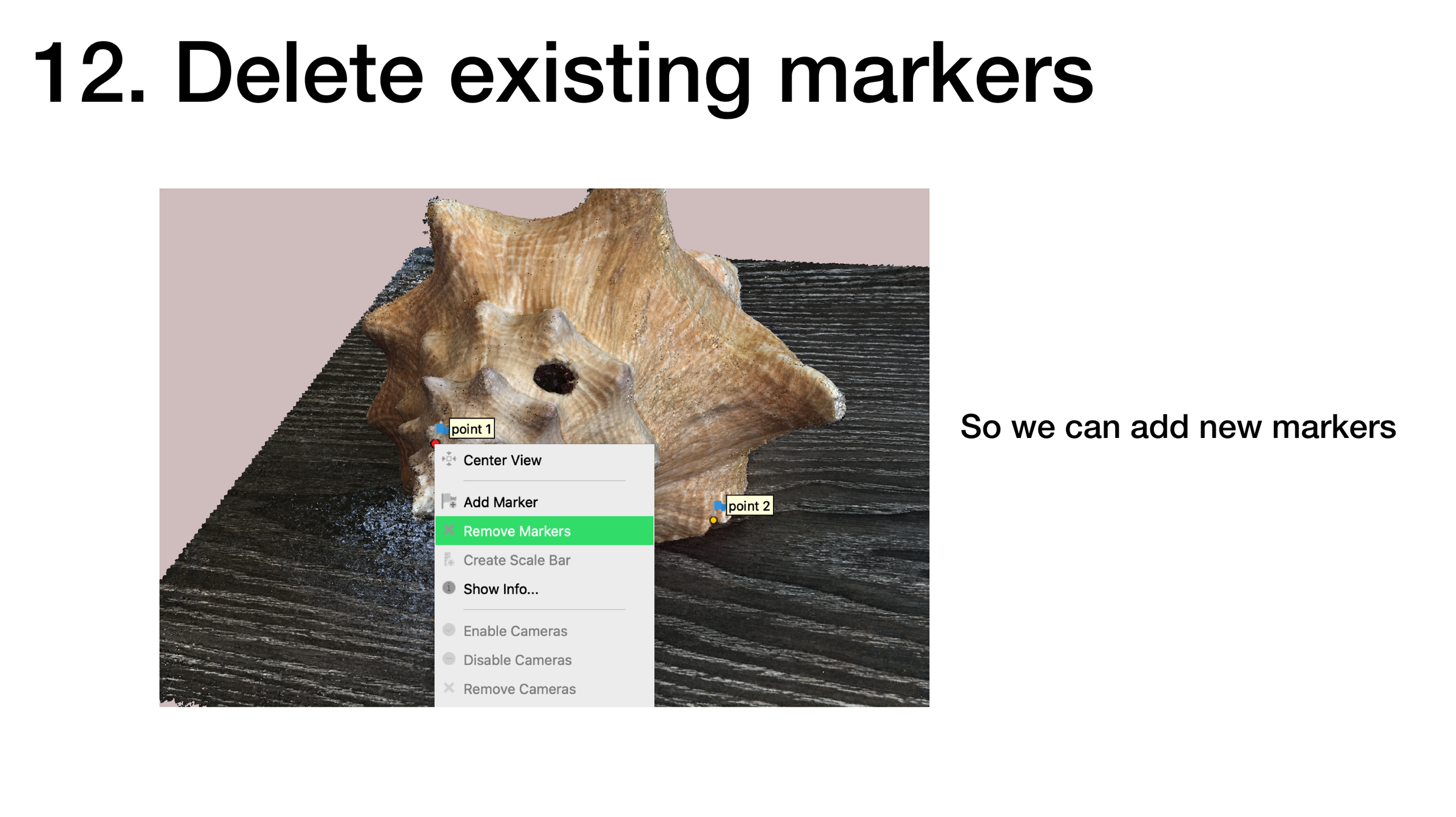 Photogrammetry in 18 Step! (Agisoft Metashape) : 19 Steps - Instructables