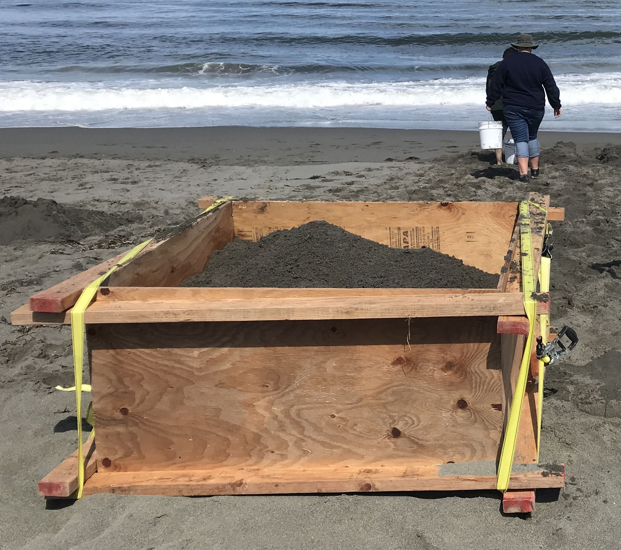 Sand Sculpture : 7 Steps (with Pictures) - Instructables