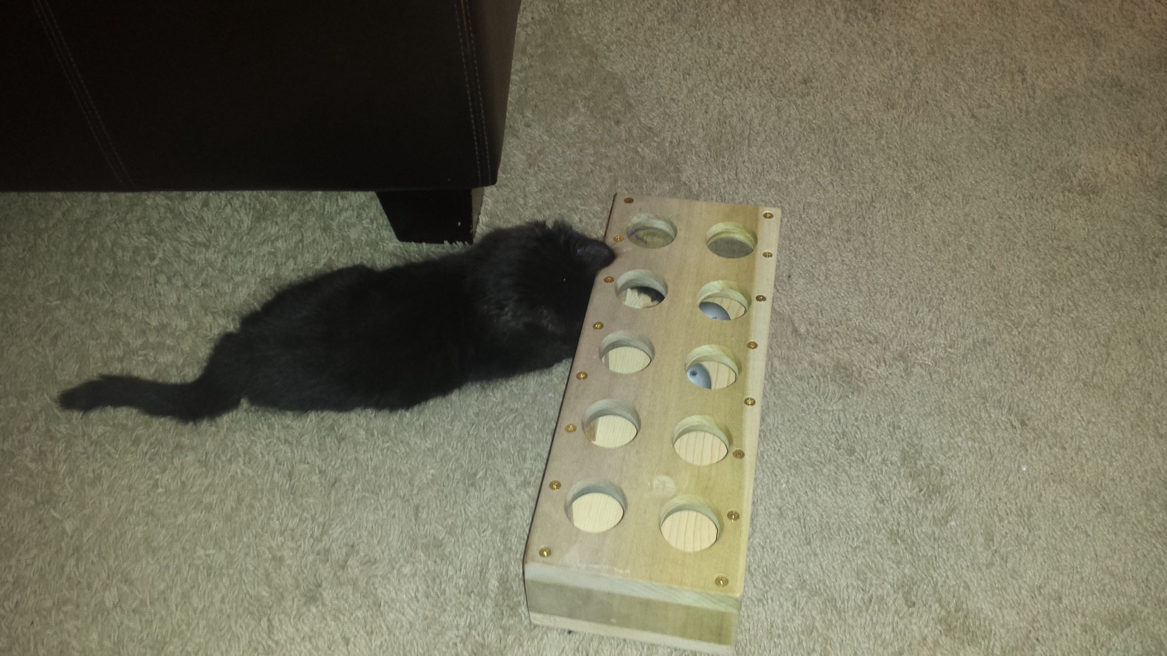 Kitty Puzzle Toy : 3 Steps (with Pictures) - Instructables