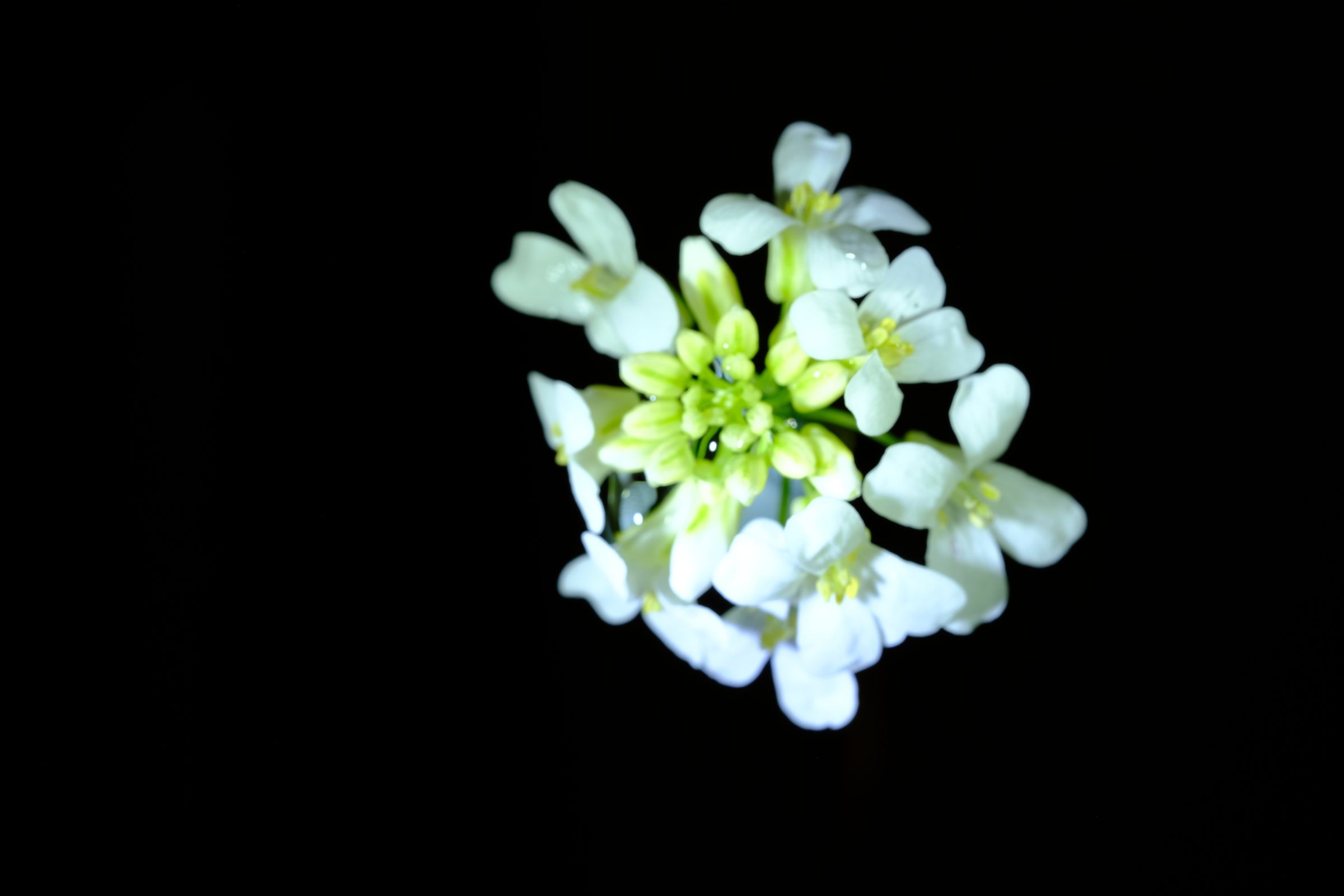 Automated Macro Focus Rail : 13 Steps (with Pictures) - Instructables