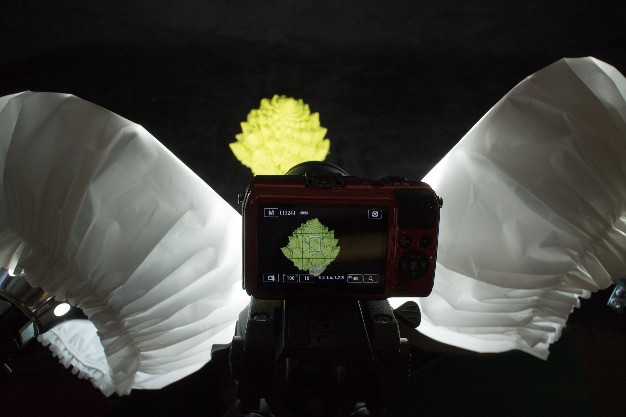 Shooting for Photogrammetry : 8 Steps - Instructables