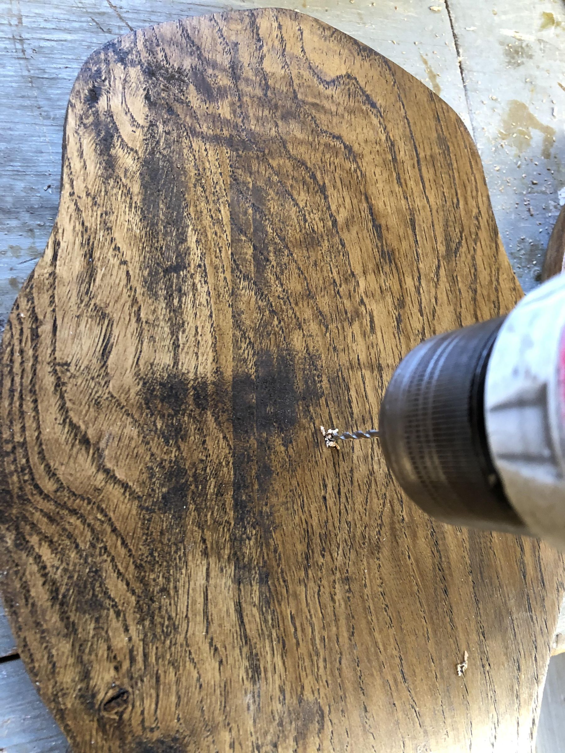 How to Build a European Mount Plaque : 6 Steps - Instructables