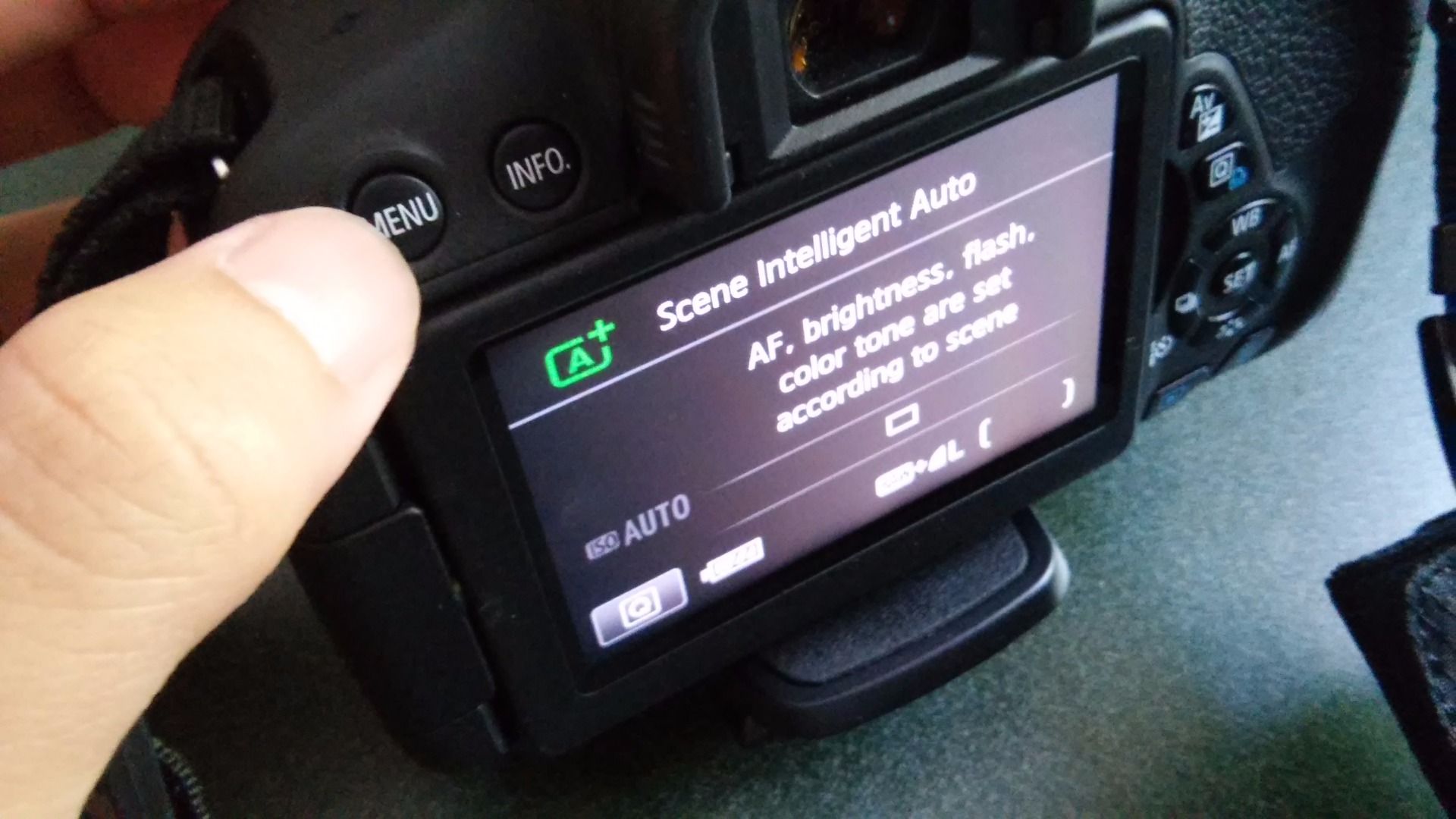A Complete Beginner's Guide to Raw Files and Raw Processing : 11 Steps ...