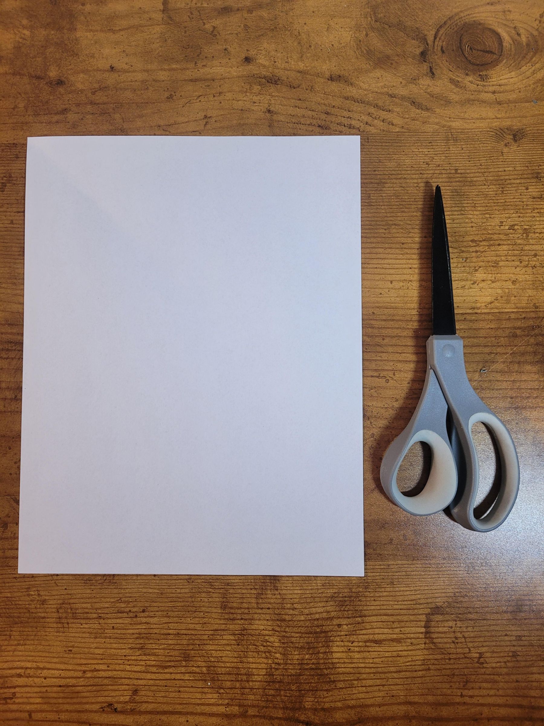 How to Fold a Paper Crane- Easy Instructions : 12 Steps (with Pictures ...