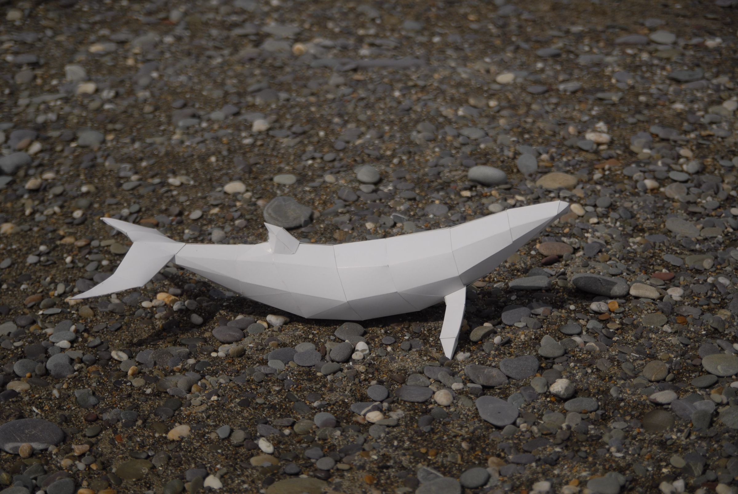 Papercraft Whale : 4 Steps - Instructables