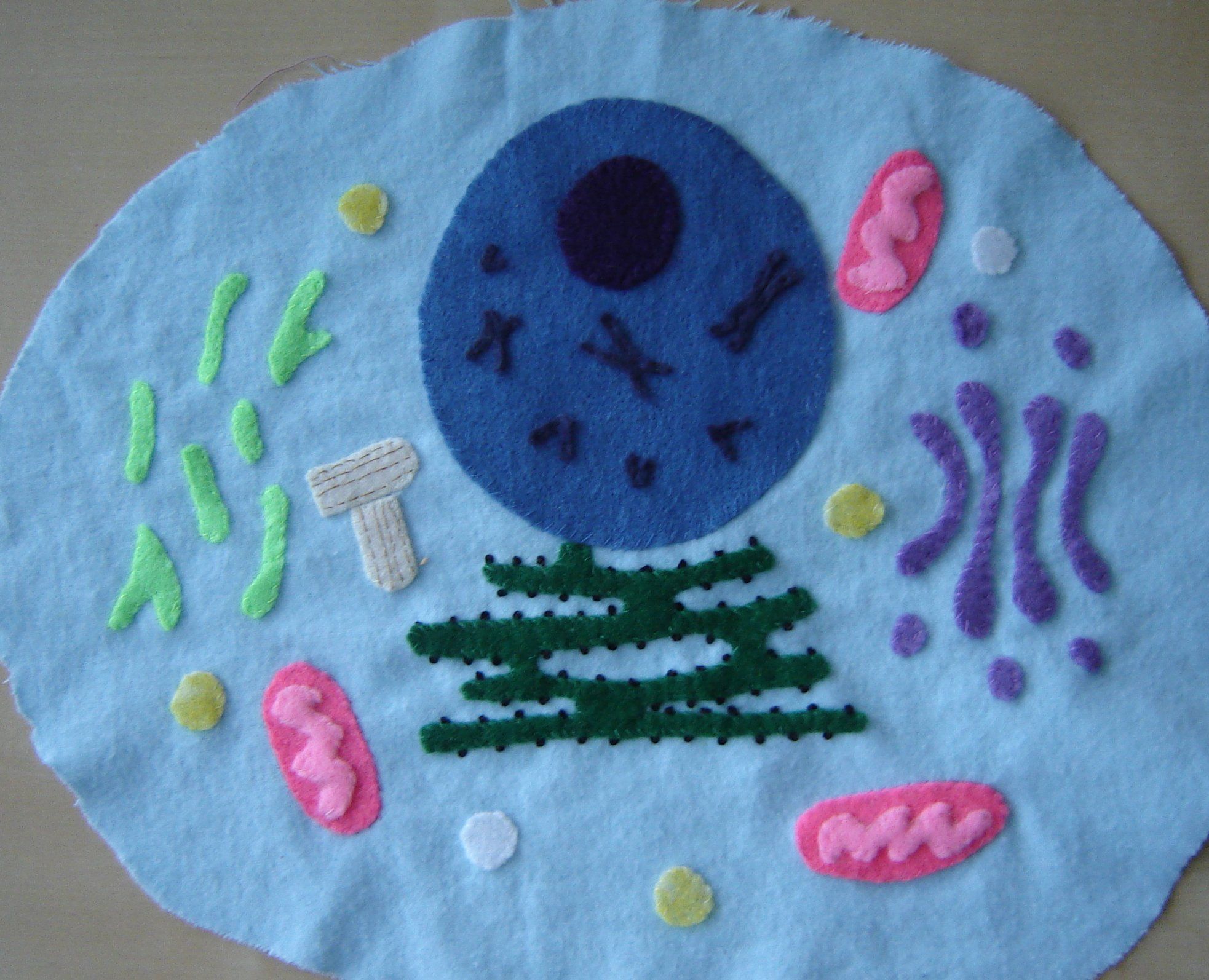 Plush Cell Model : 13 Steps (with Pictures) - Instructables