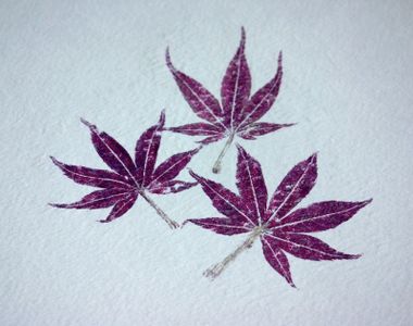 Hammered Leaf and Flower Prints : 12 Steps (with Pictures) - Instructables