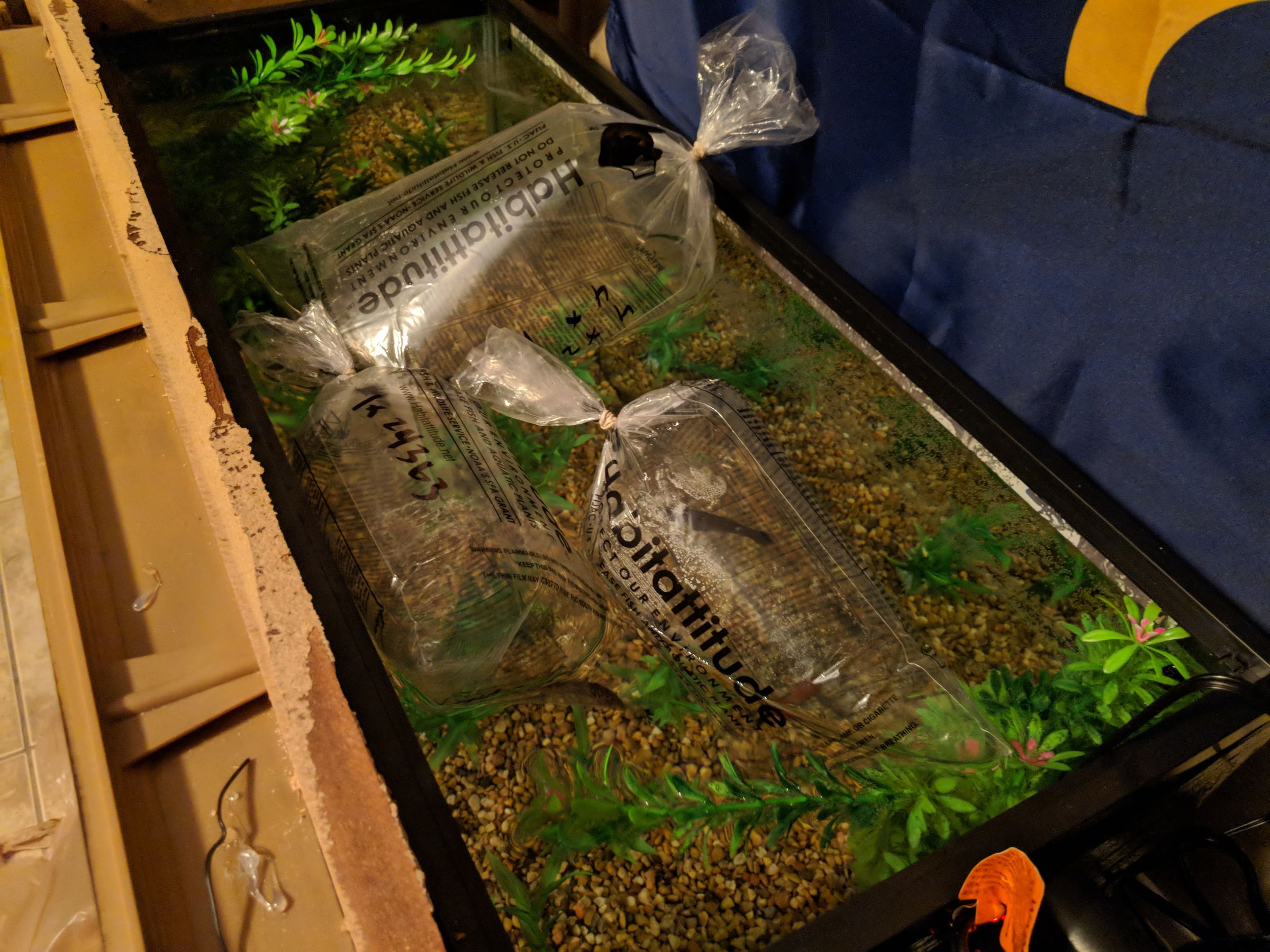 Build a TV Fish Tank : 6 Steps (with Pictures) - Instructables