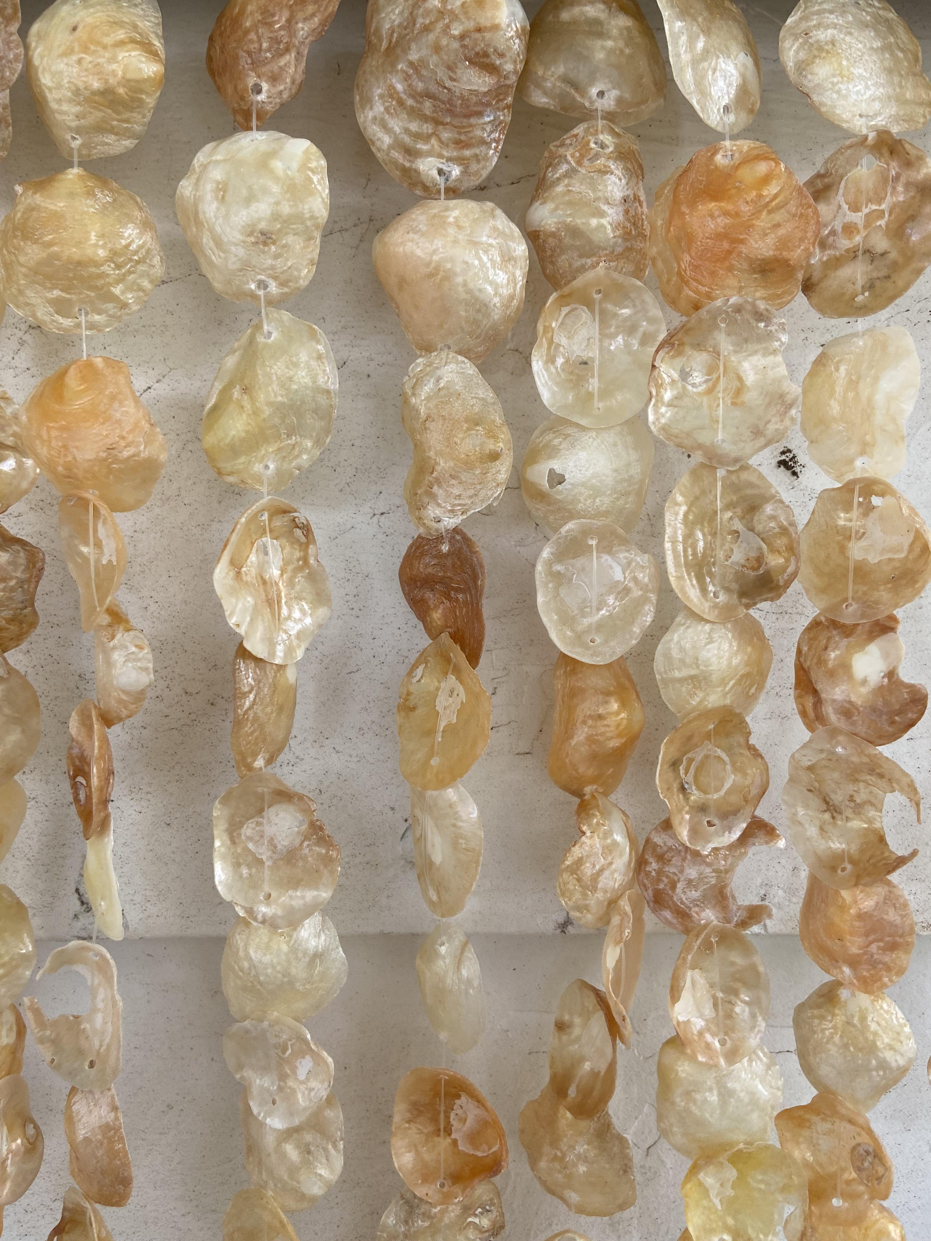 Seashell Wall Hanging : 6 Steps (with Pictures) - Instructables