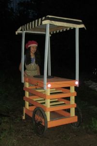 Vendor Push Cart : 14 Steps (with Pictures) - Instructables