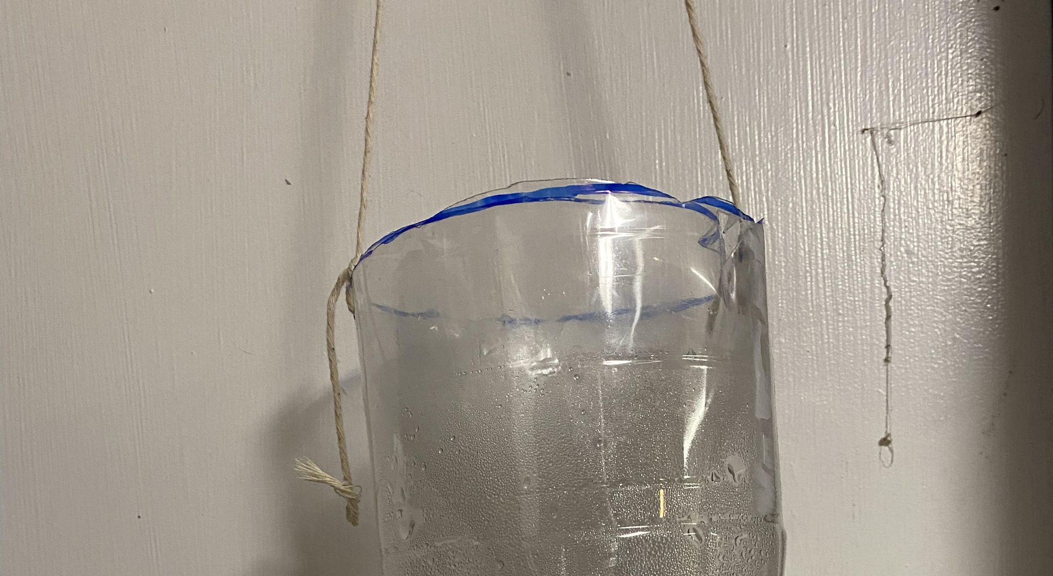 Simple Mosquito/bug Trap : 3 Steps - Instructables