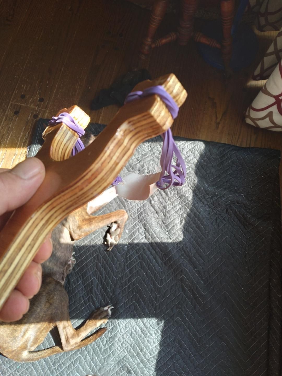 Powerful Plywood Slingshot : 6 Steps - Instructables