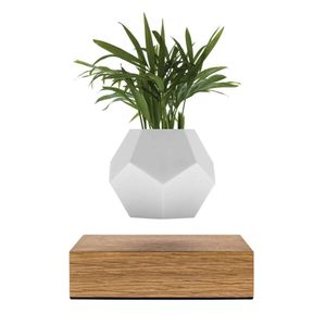 DIY Levitating Plant! : 7 Steps (with Pictures) - Instructables