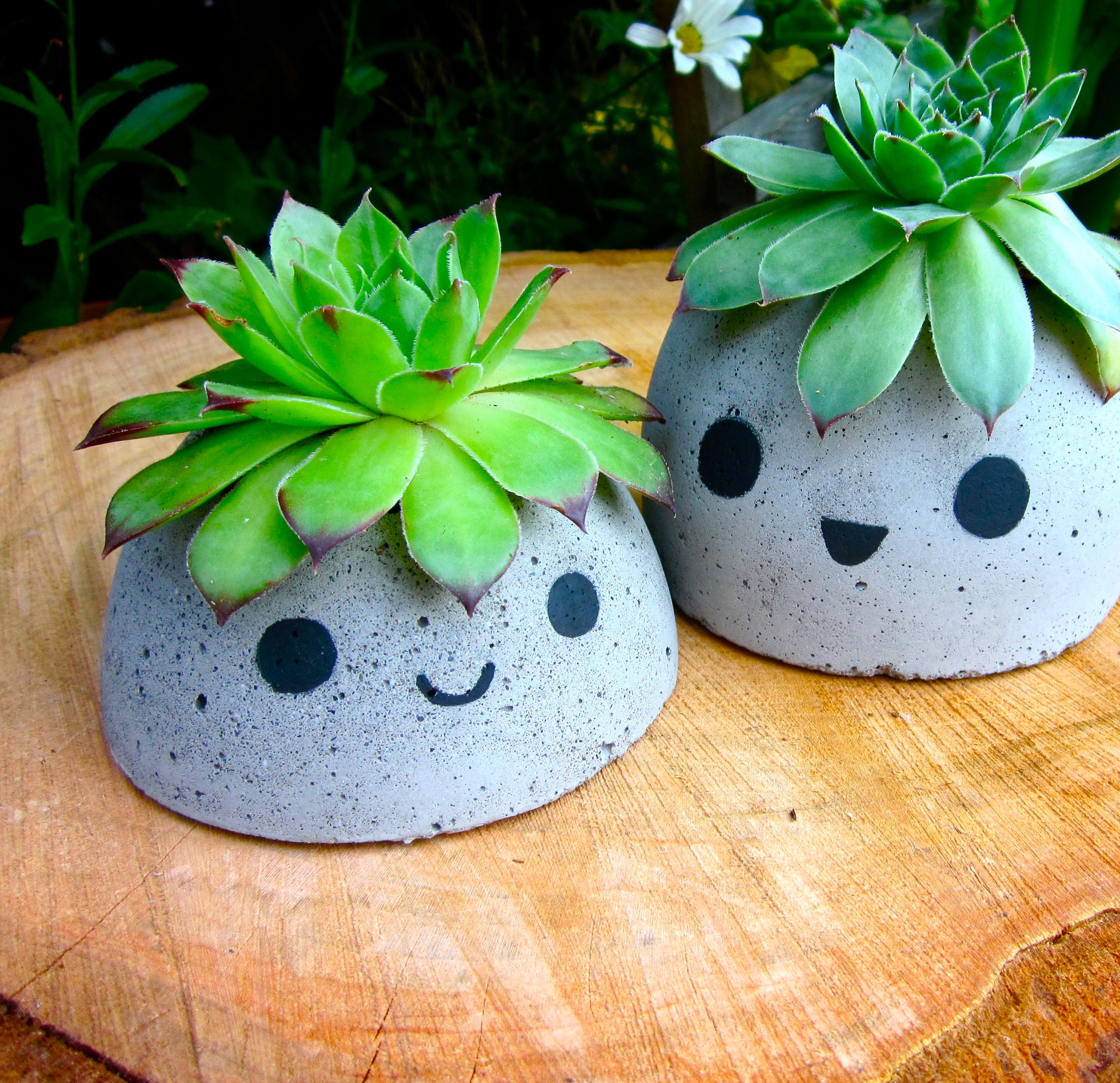 Cute Concrete Planter : 5 Steps (with Pictures) - Instructables
